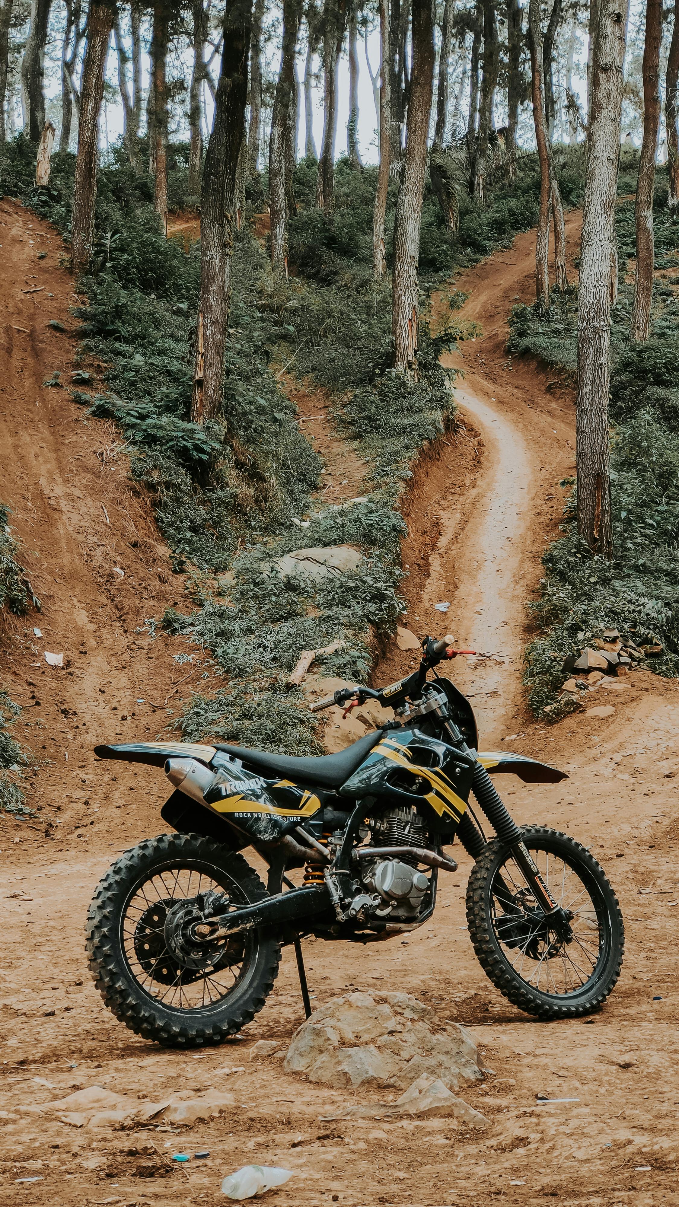 Photo of Man Riding Motorcycle in the Forest · Free Stock Photo