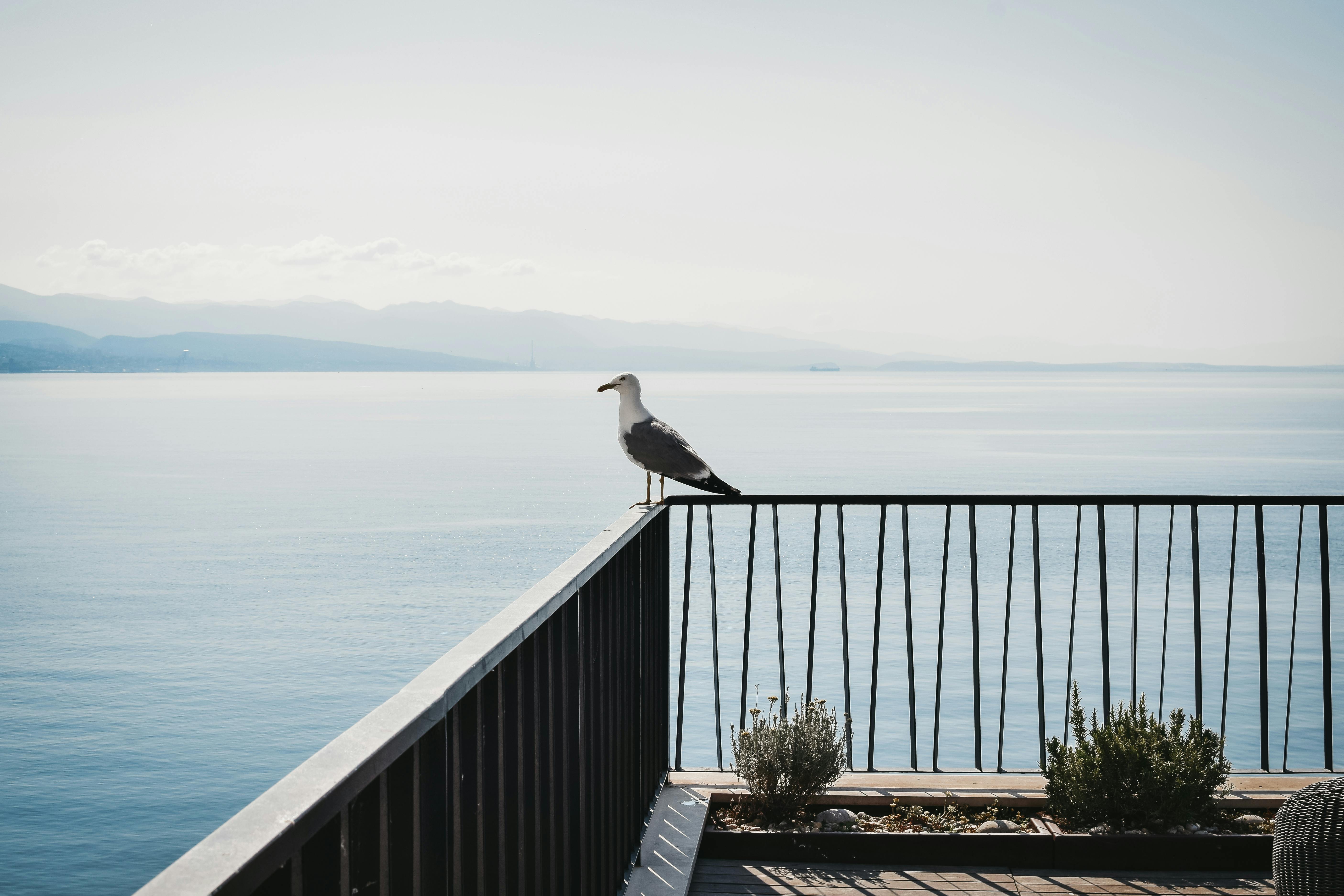 Full Body Port Photos, Download The BEST Free Full Body Port Stock ...