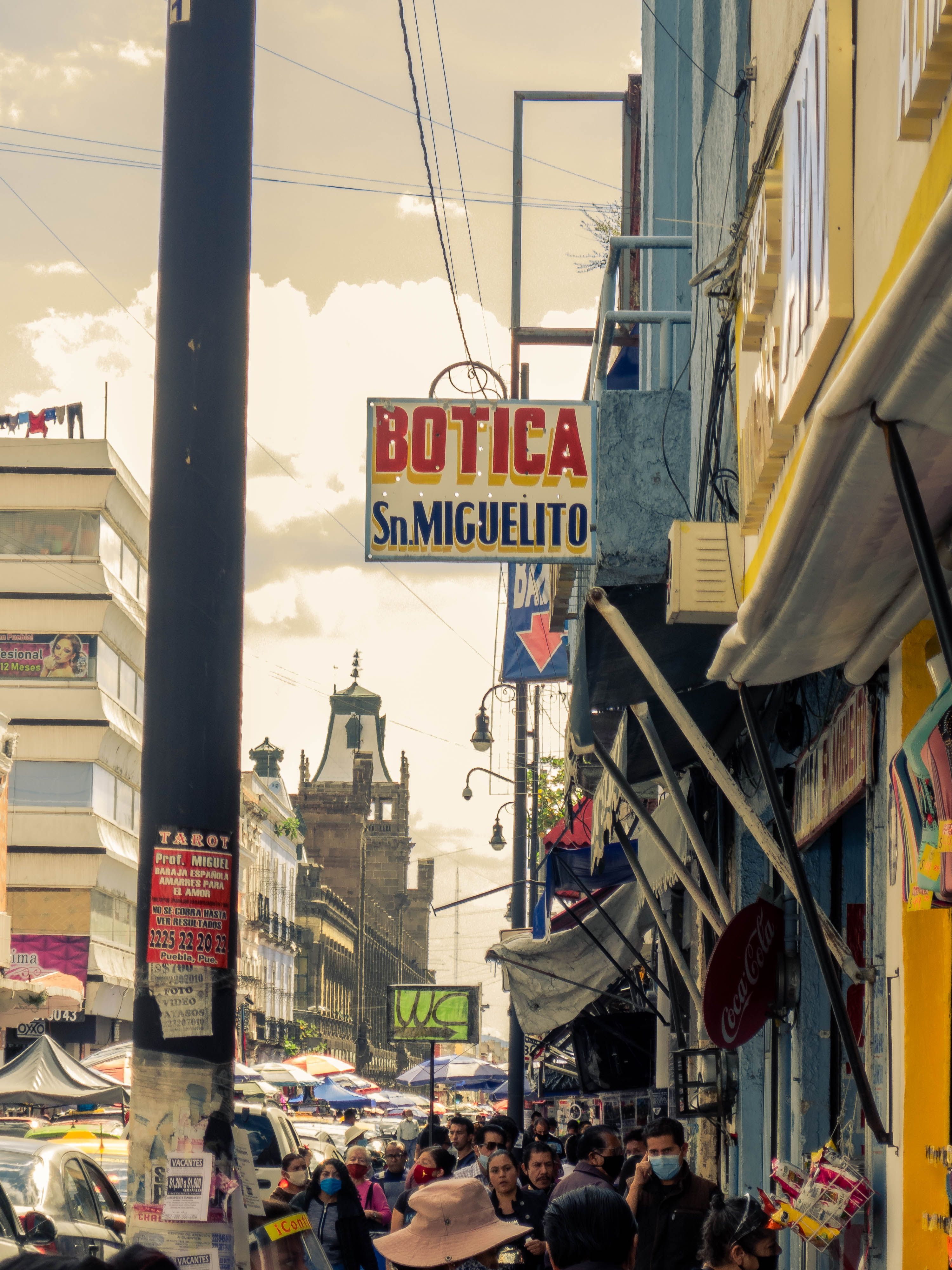People on the Sidewalk near City Street · Free Stock Photo