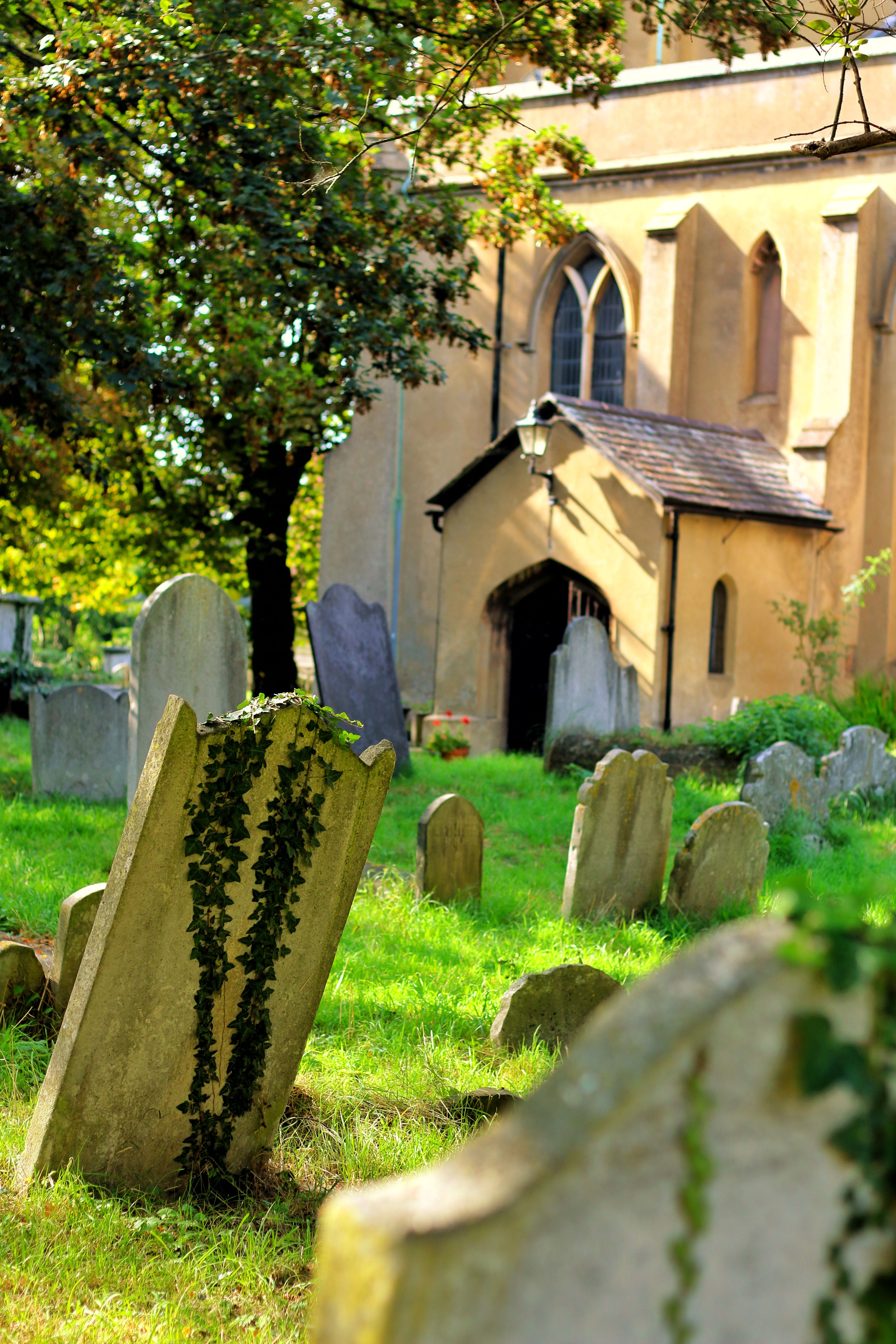 Tombstones in a Cemetery · Free Stock Photo