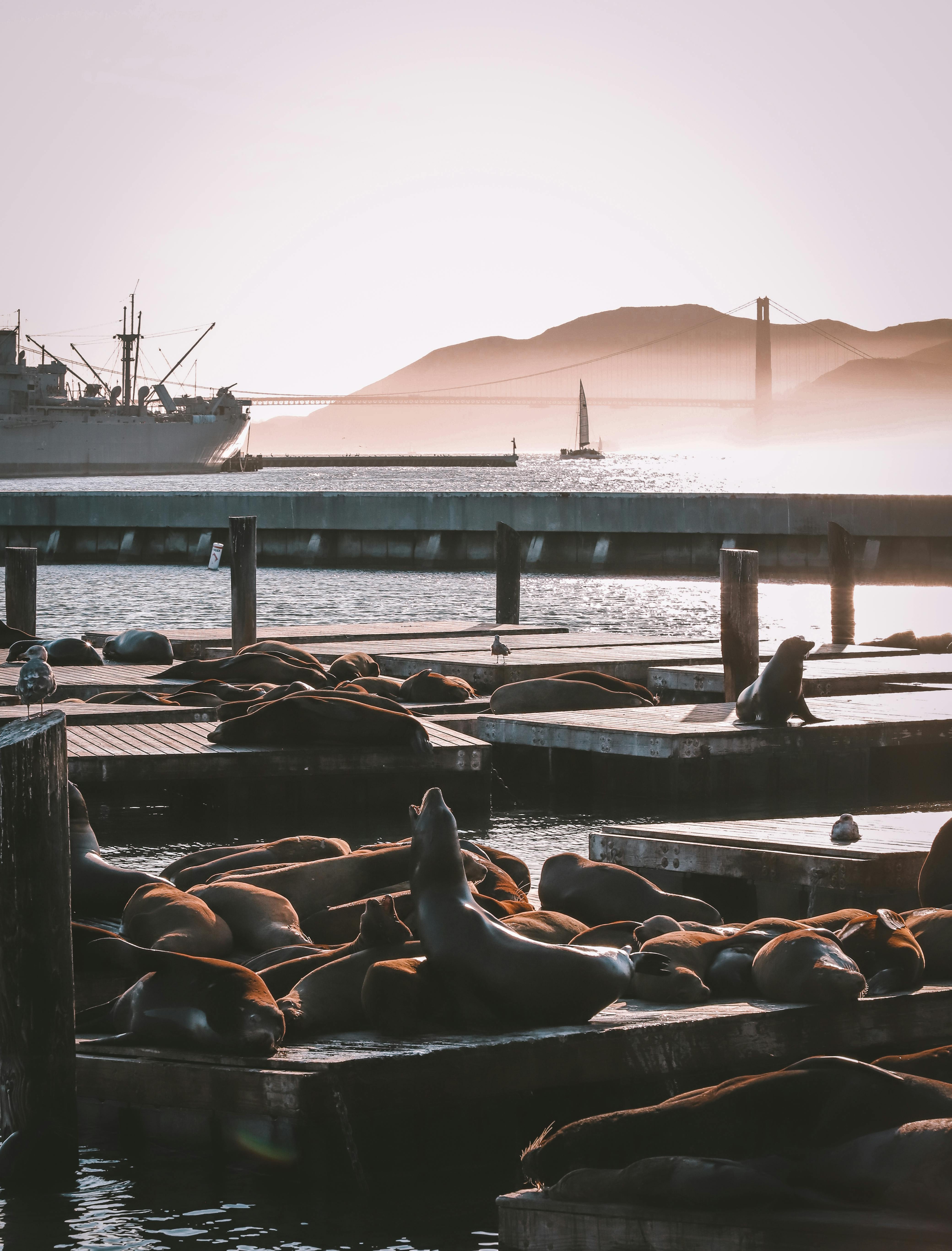 Brian Hackworth - Photography