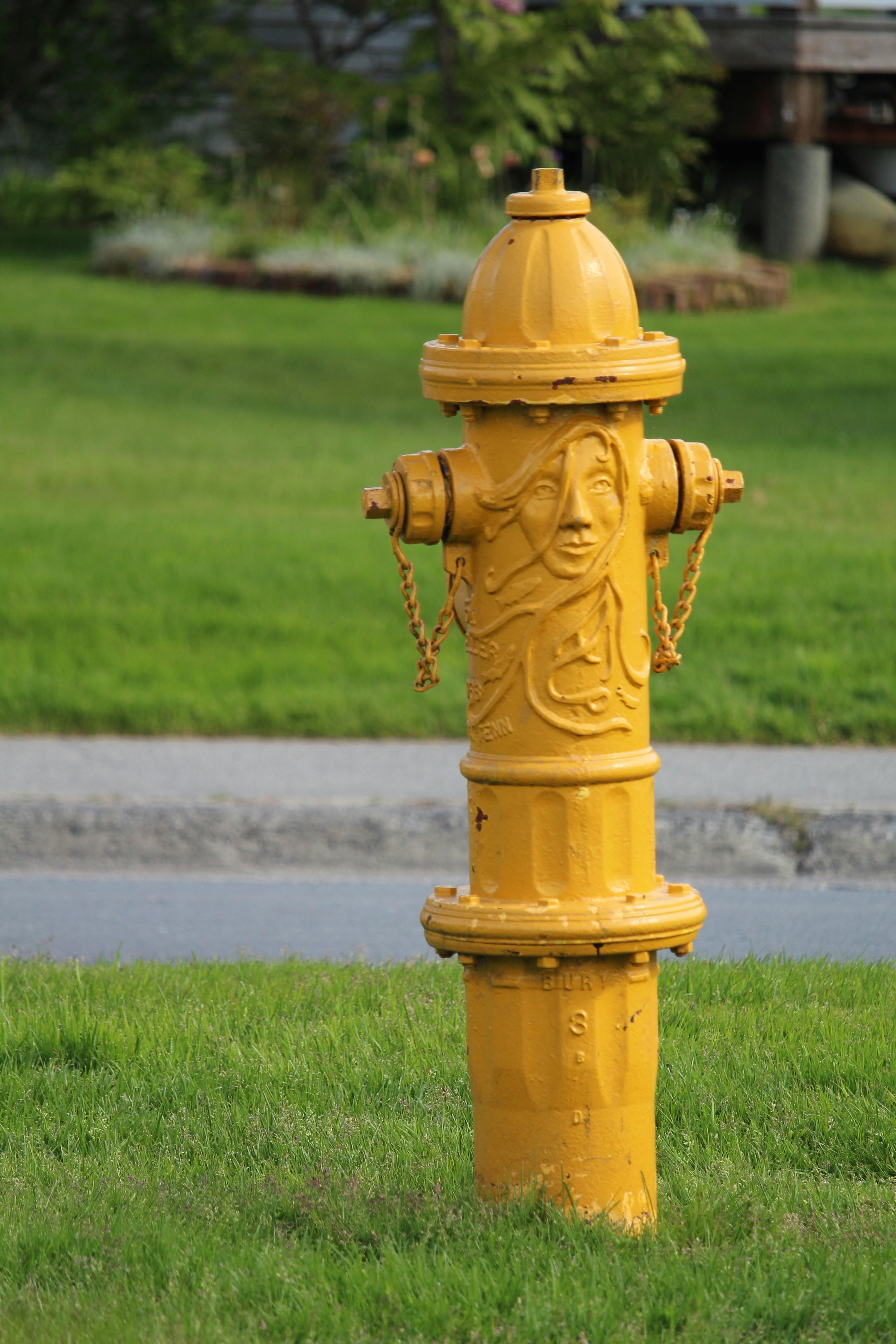 Steel Fire Hydrant · Free Stock Photo