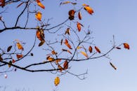 More 580 Sparse Synonyms. Similar words for Sparse.