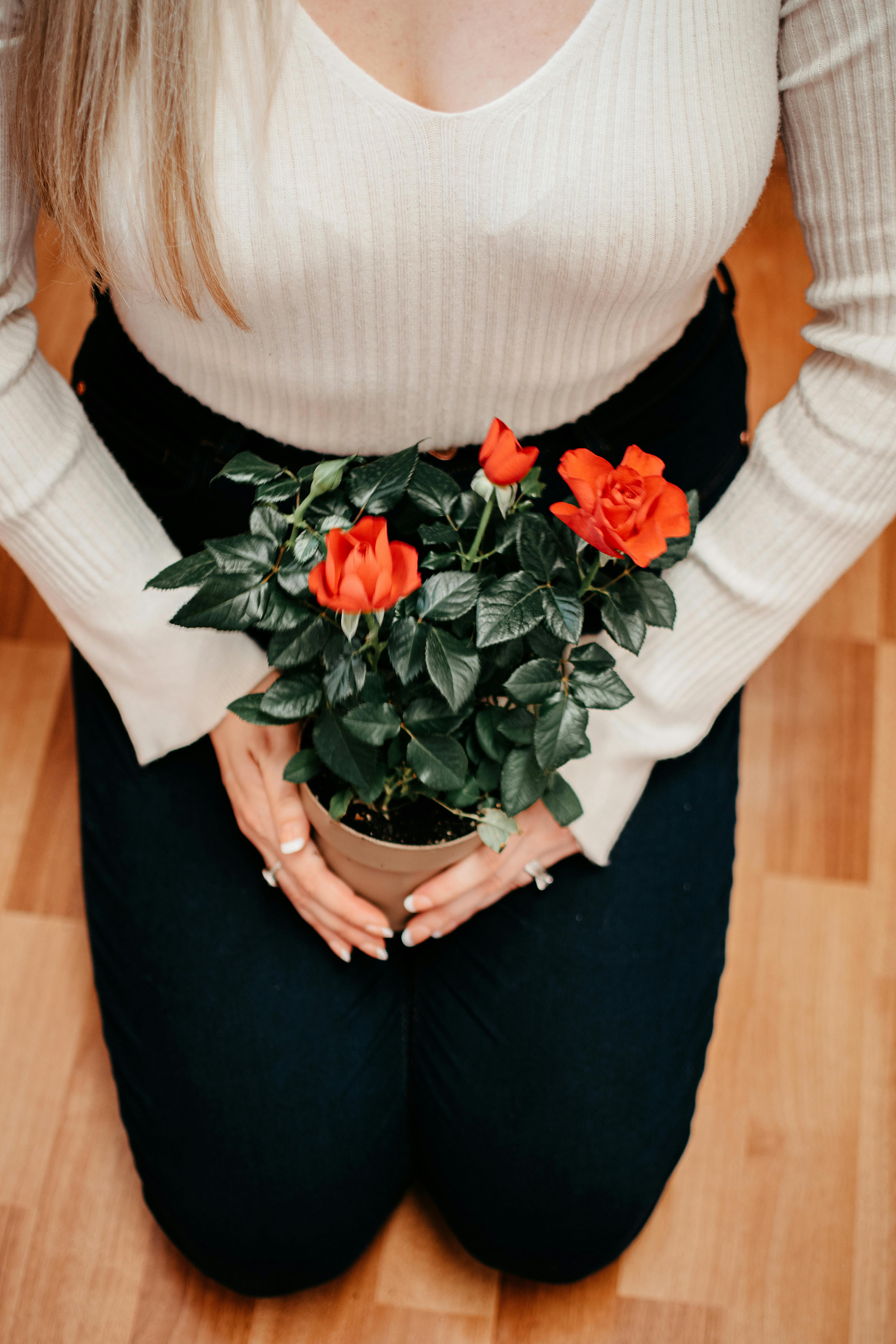 Free stock photo of anonymous, decor, female, flower pot, hands ...