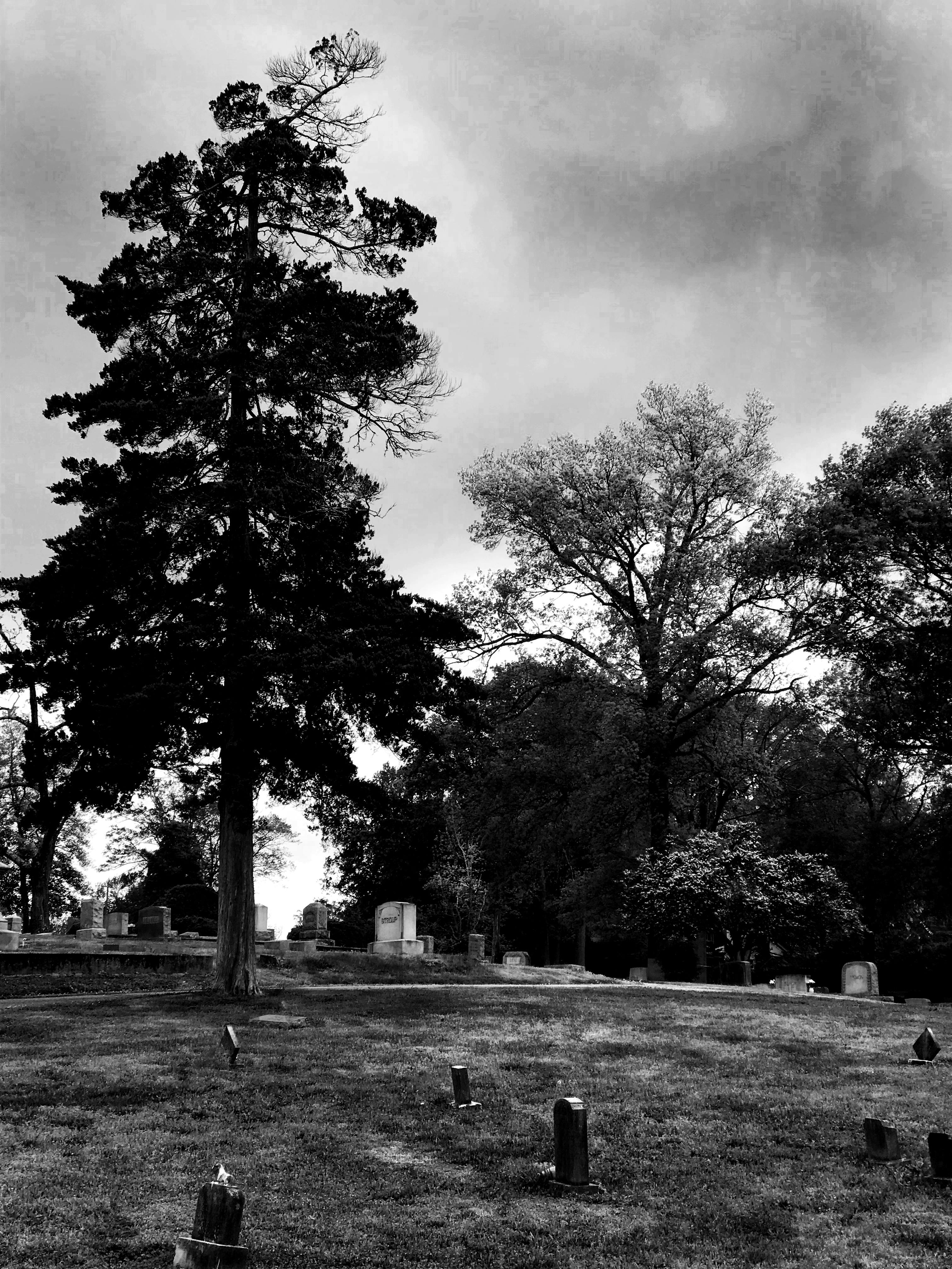 Lynn Nash · Photography