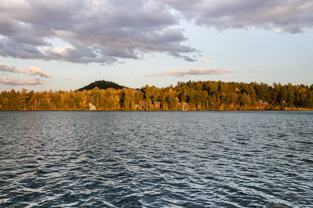 Understanding Woodforest National Bank Routing Number Basics