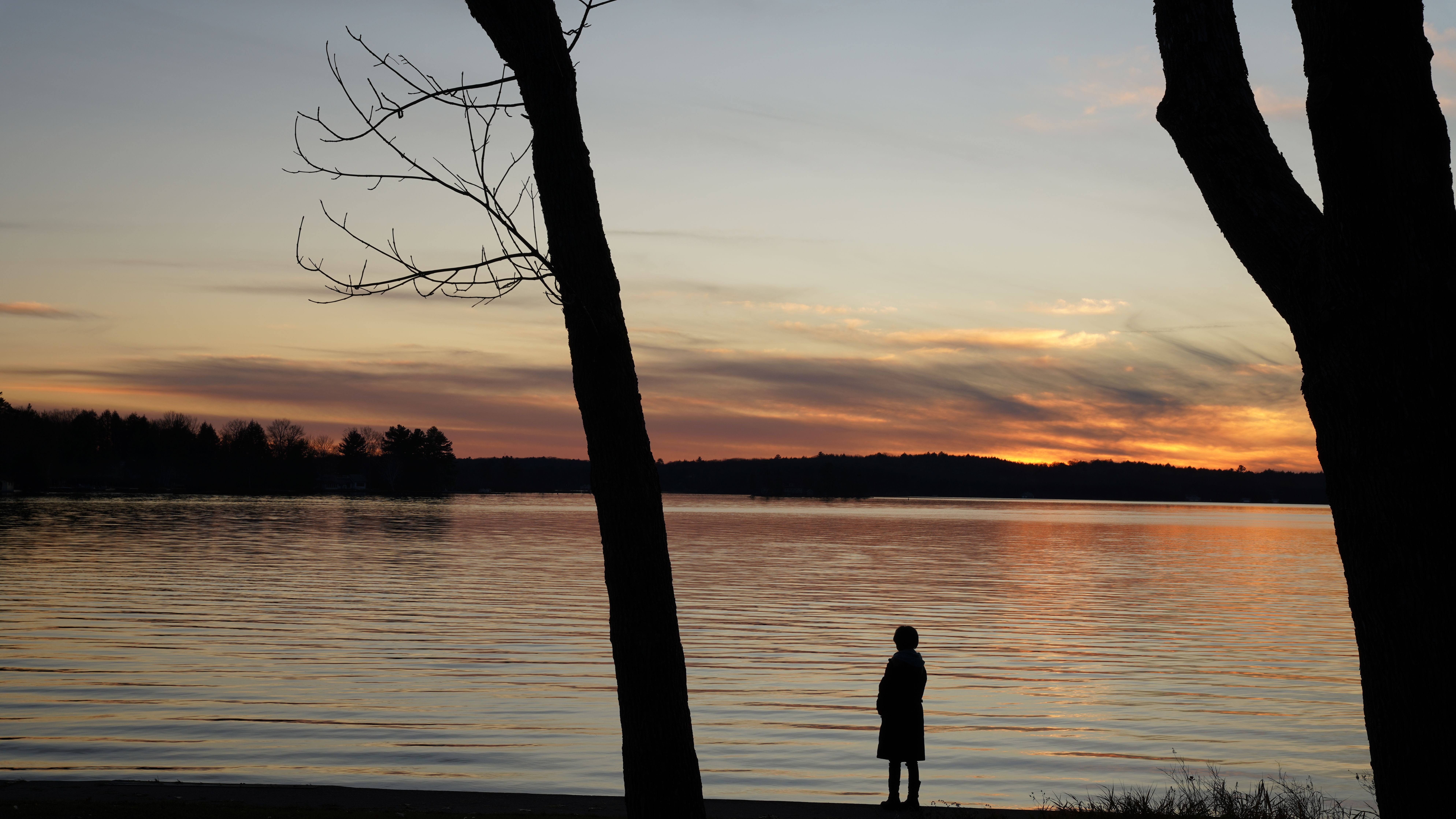 Woman Staring at Lake · Free Stock Photo