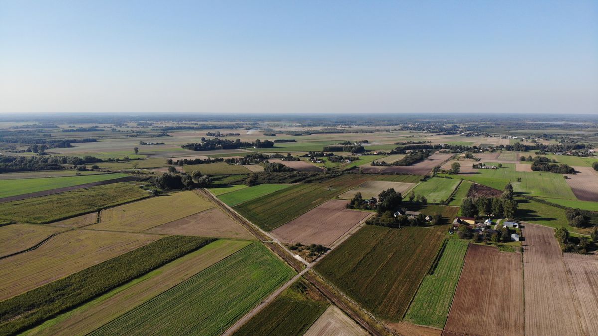 Houses for Sale in Strathmore