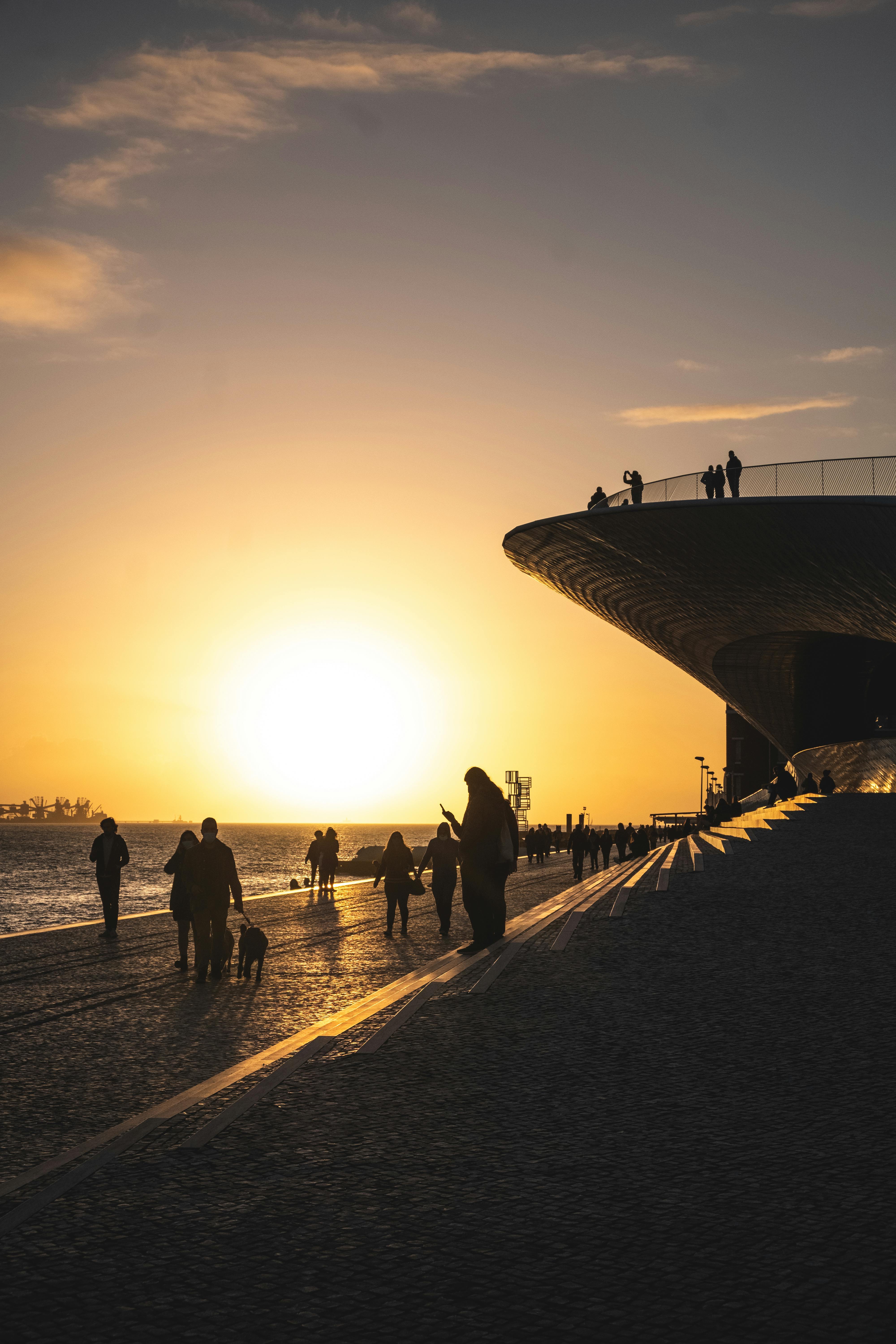 People Walking on Beach during Sunset · Free Stock Photo