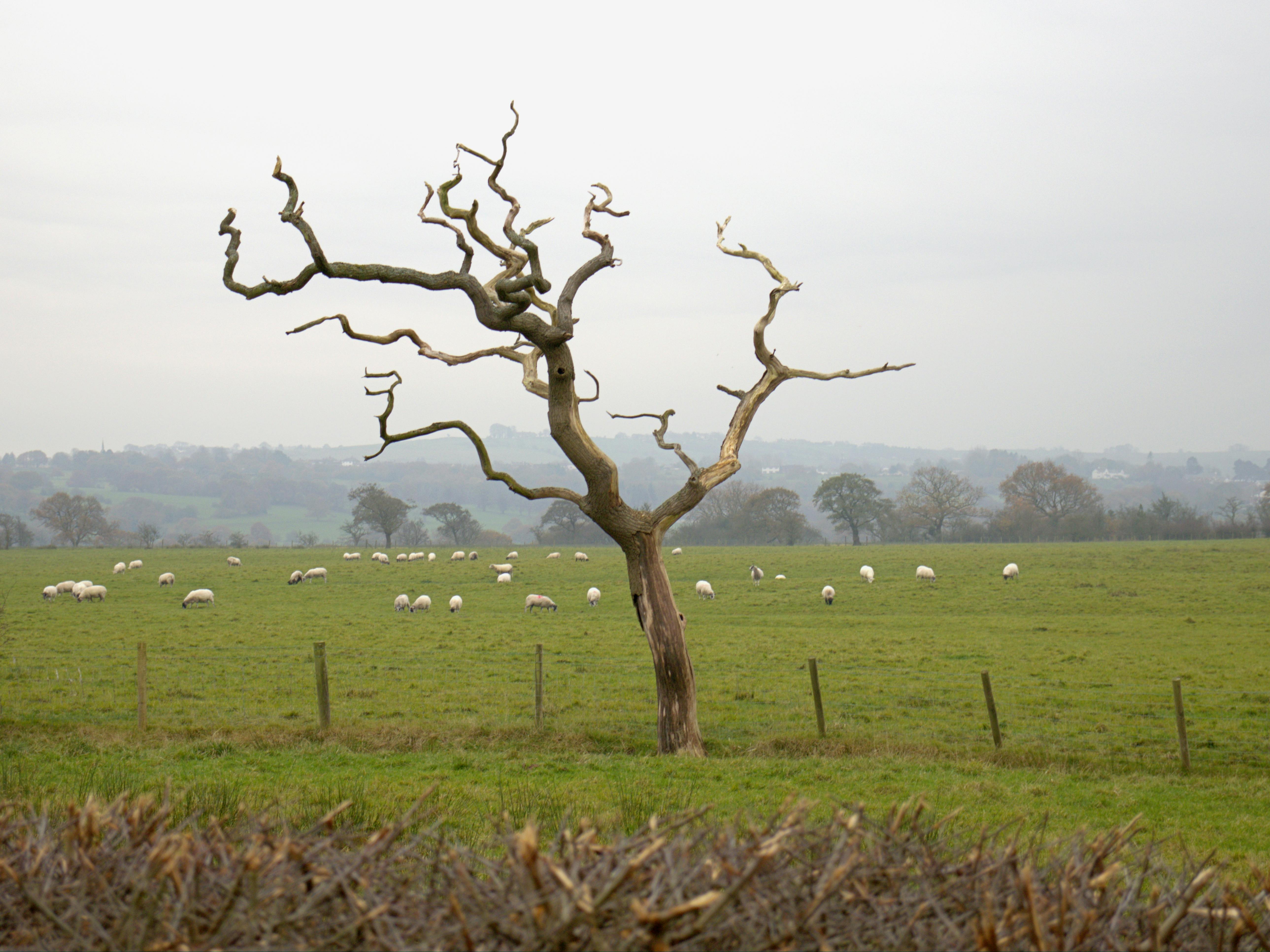 Christopher Seymour - 写真