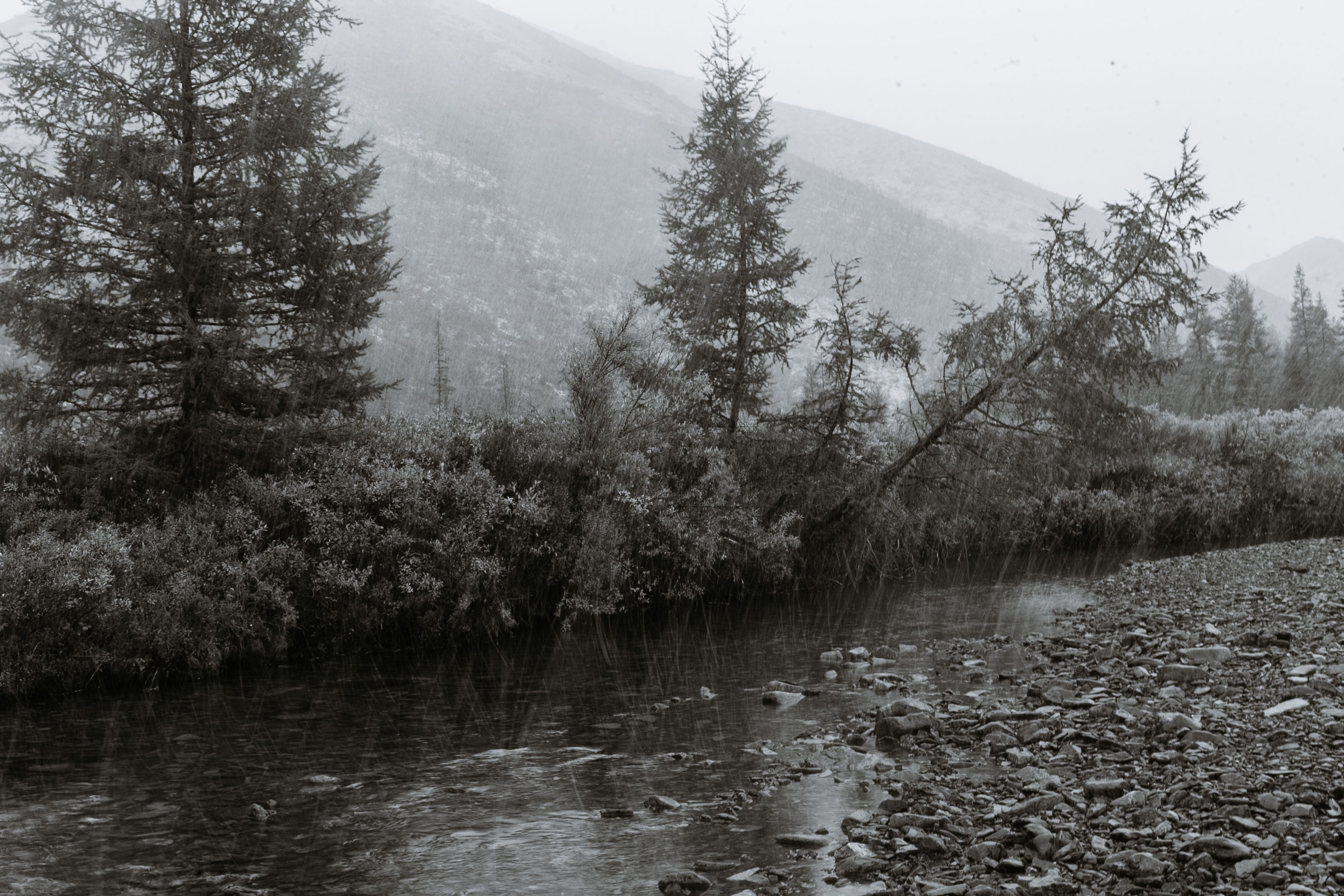 Rain Droping In Creek Photos, Download The BEST Free Rain Droping In ...