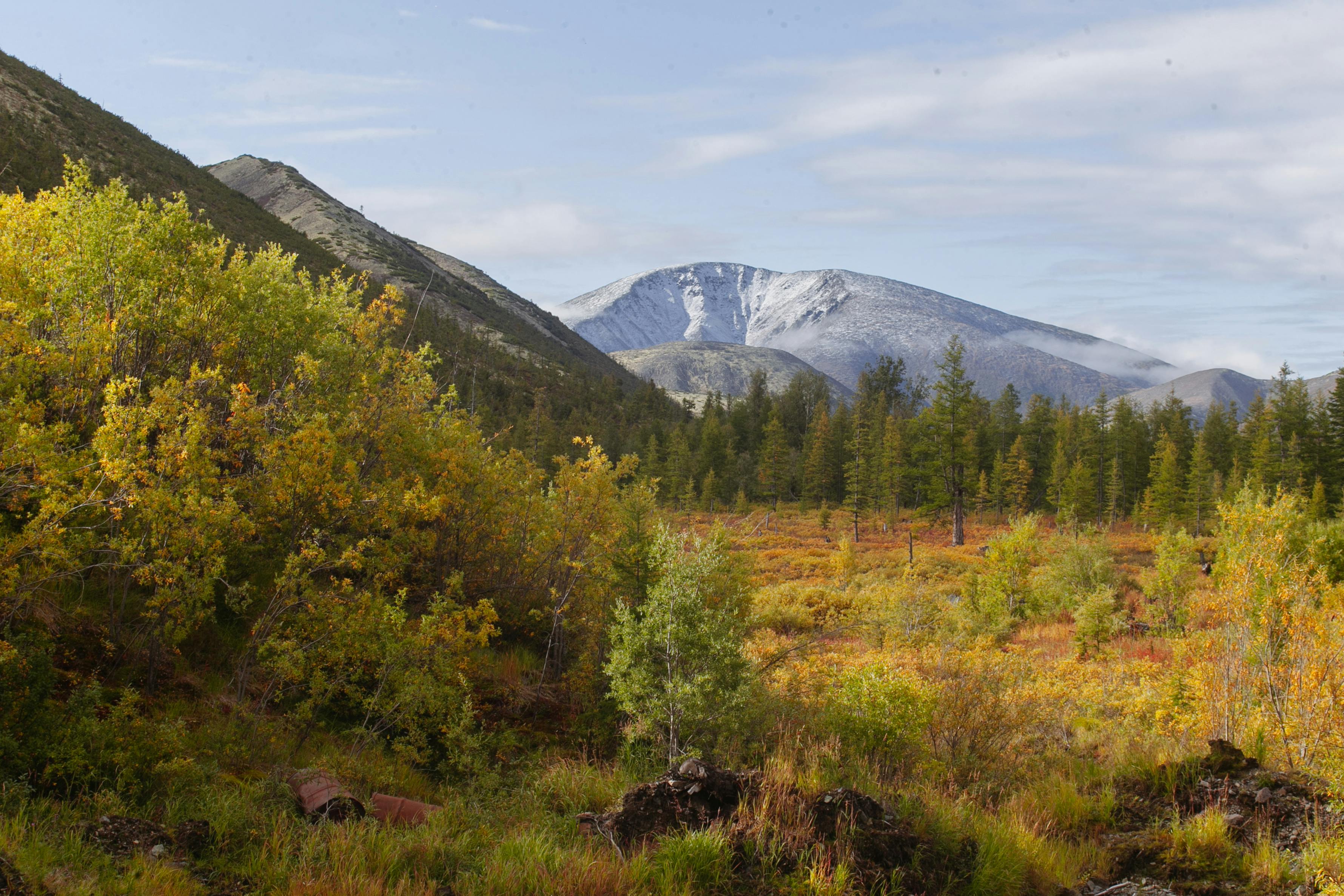 Small pond in autumn forest in highlands · Free Stock Photo