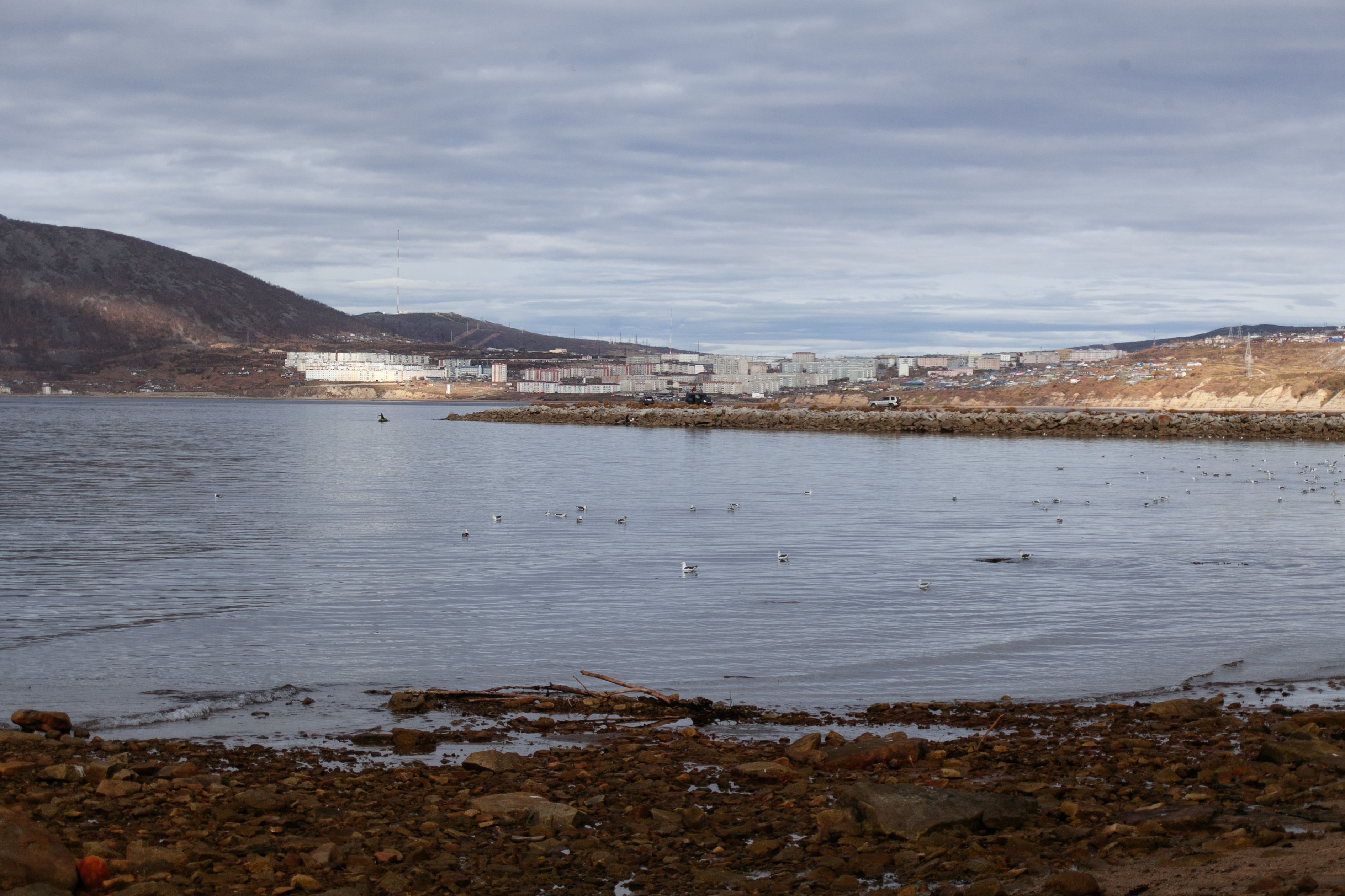 Rocky coast of calm sea · Free Stock Photo