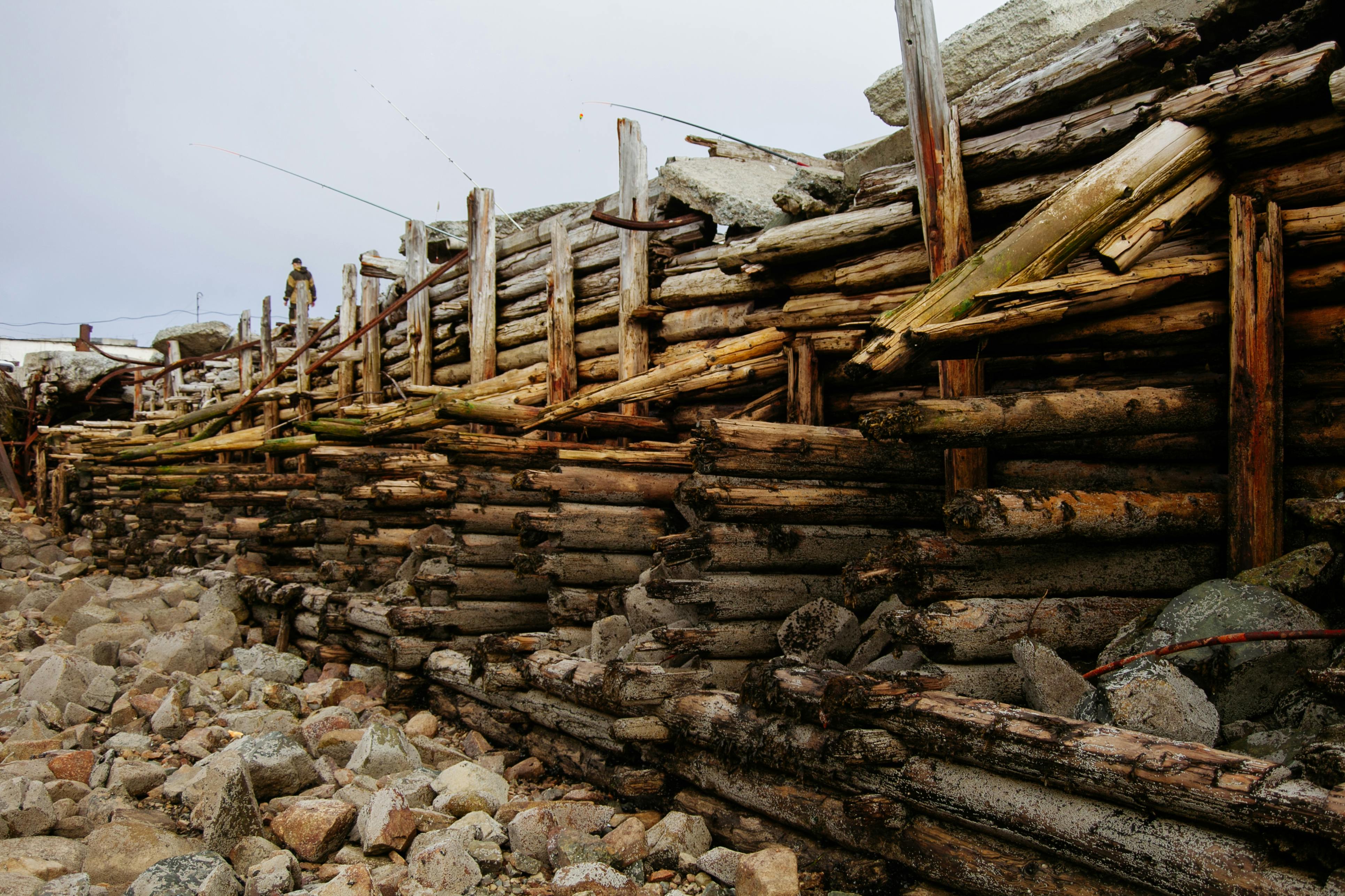 Human Destroy Environment Photos, Download The BEST Free Human Destroy ...