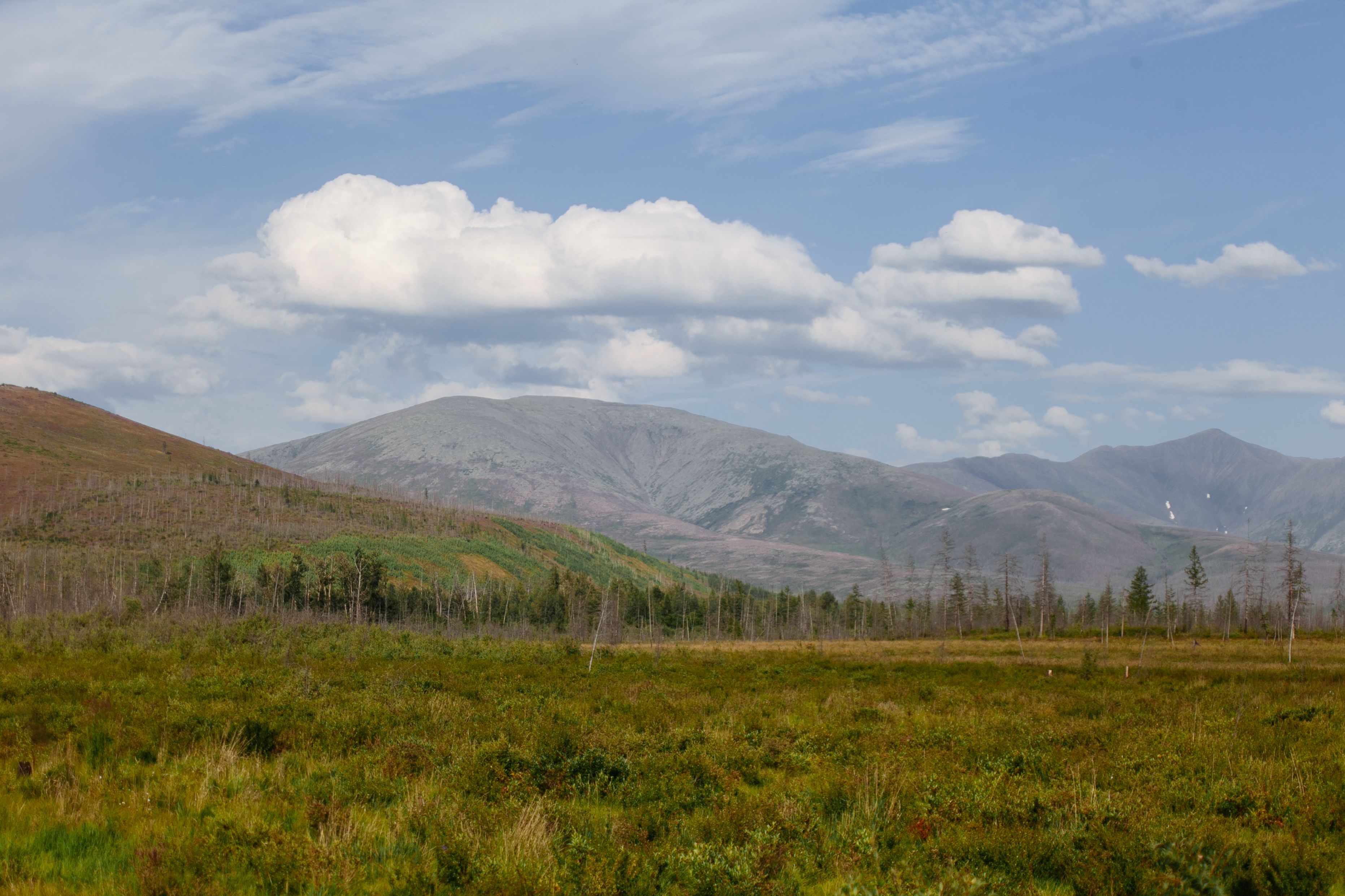 Mountainous valley with grassy meadow on sunny day · Free Stock Photo