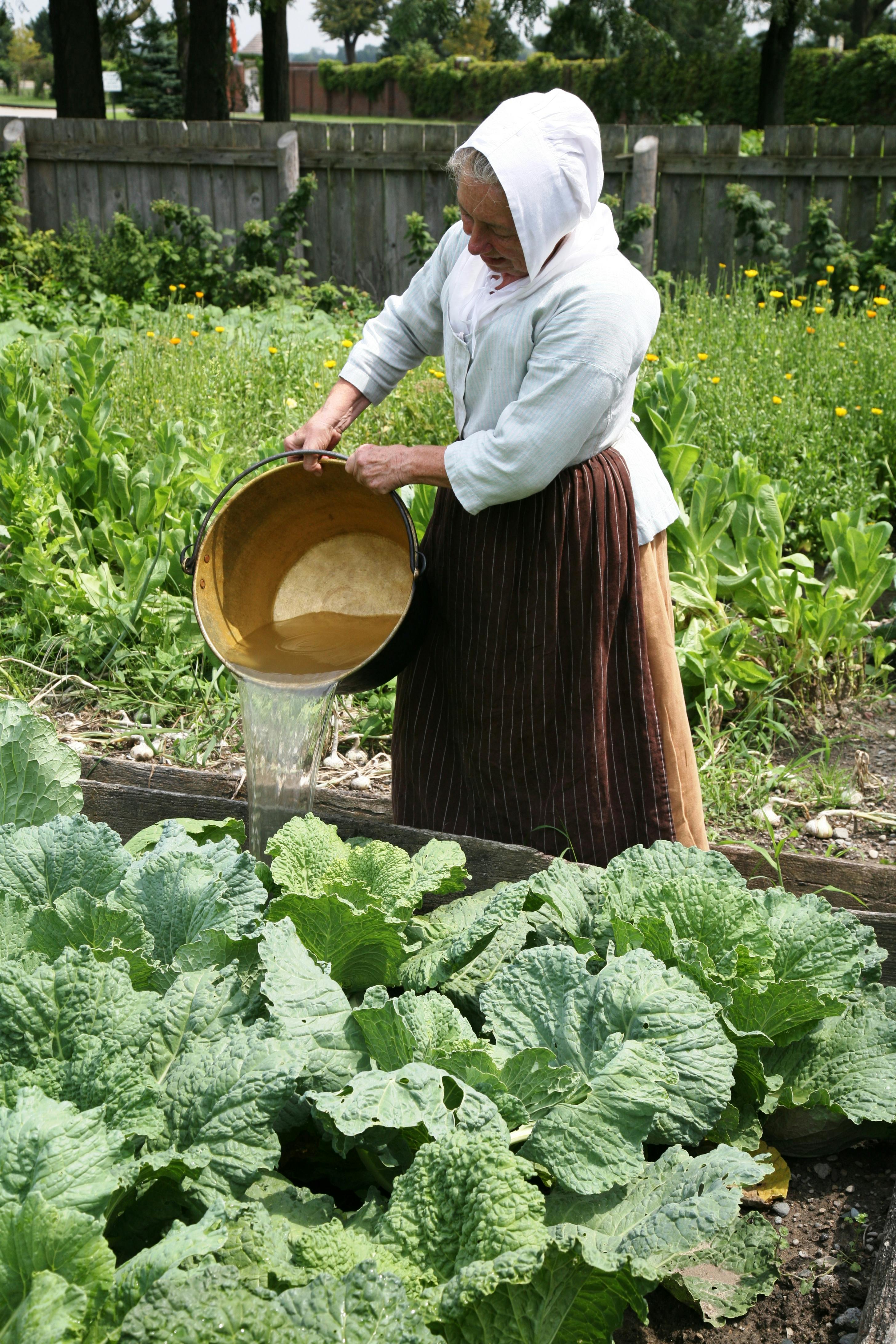 Free stock photo of farming, homesteading