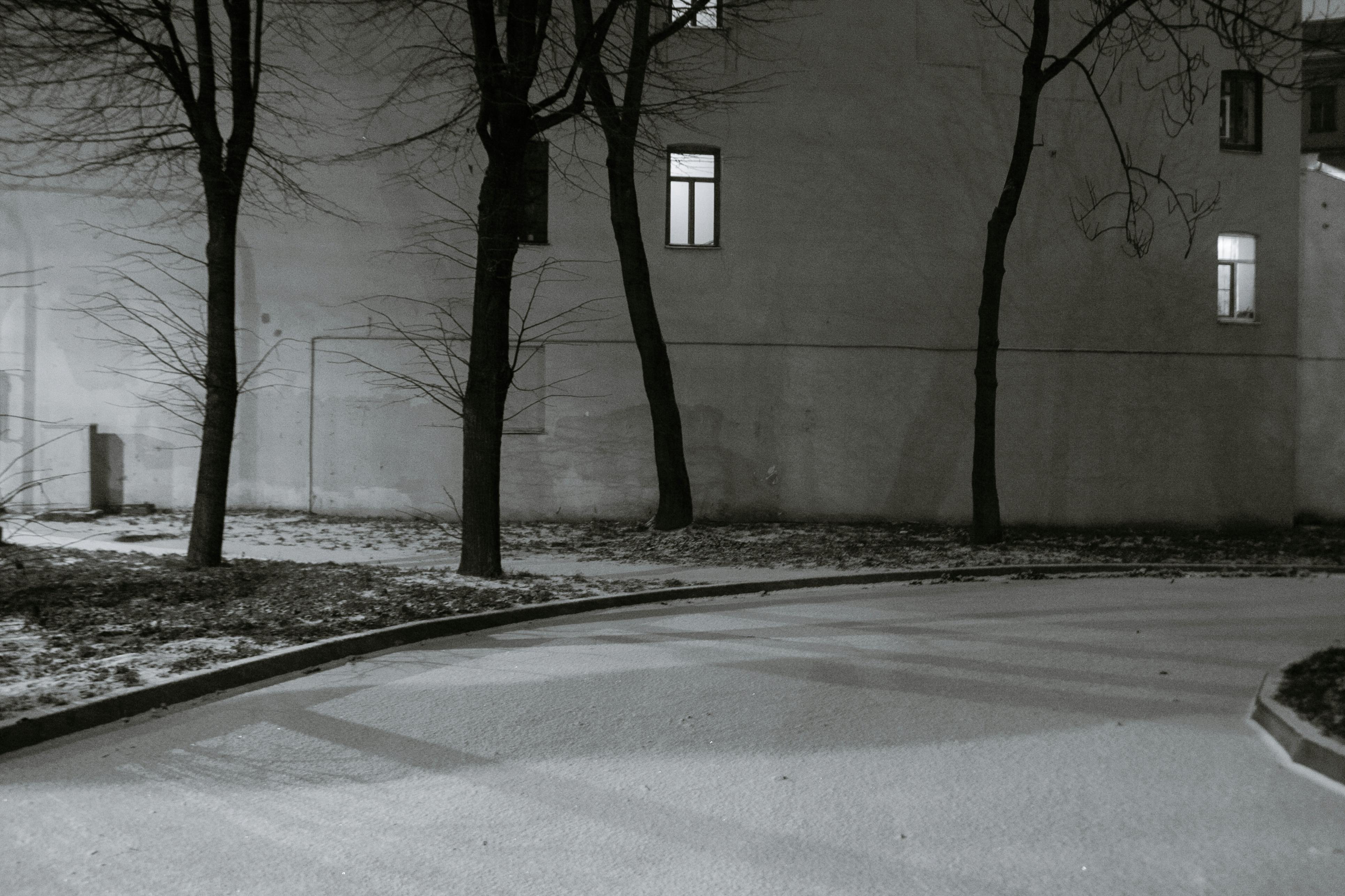 Leaf Fall Through Window Photos, Download The BEST Free Leaf Fall ...