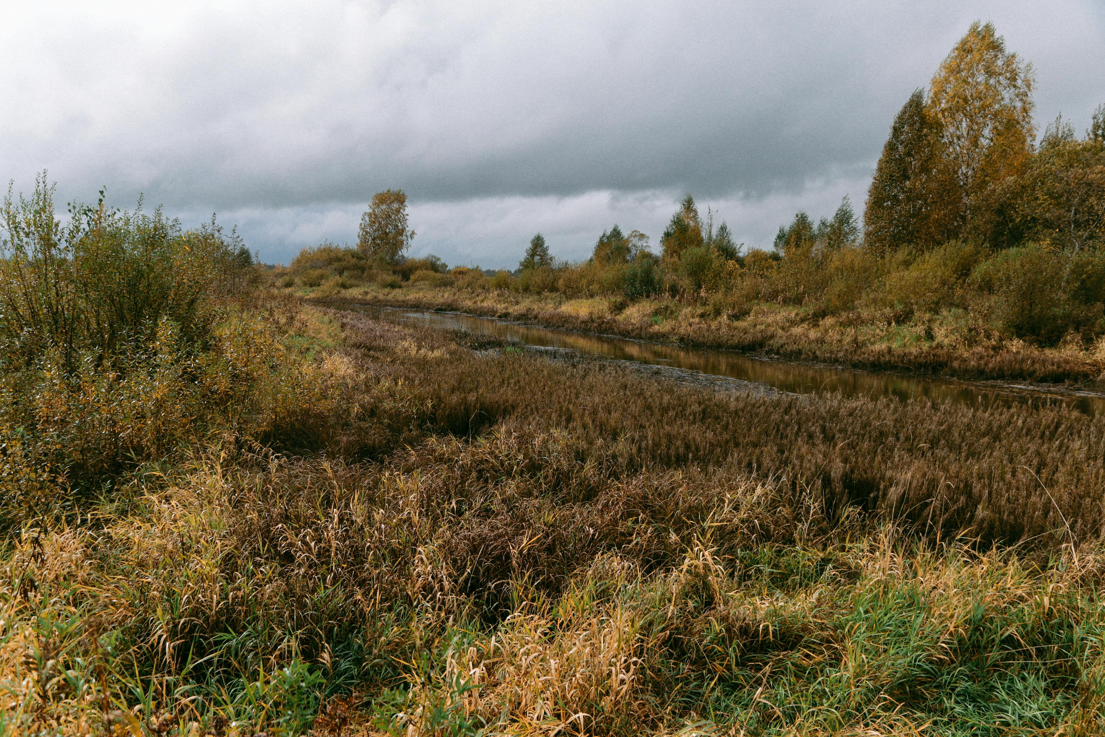 Grassy rural terrain with river in countryside · Free Stock Photo
