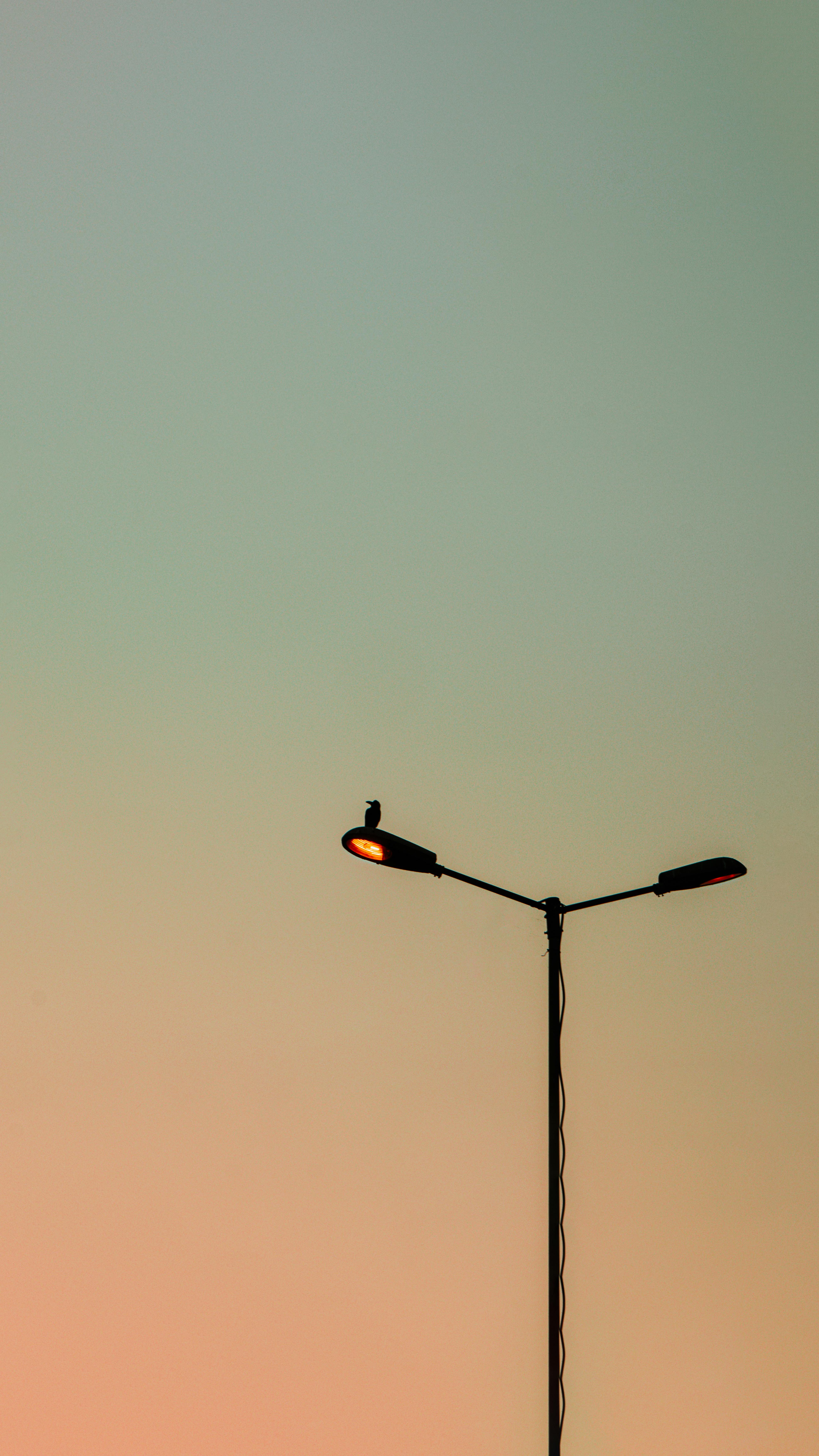 Silhouette of Street Light during Sunset · Free Stock Photo