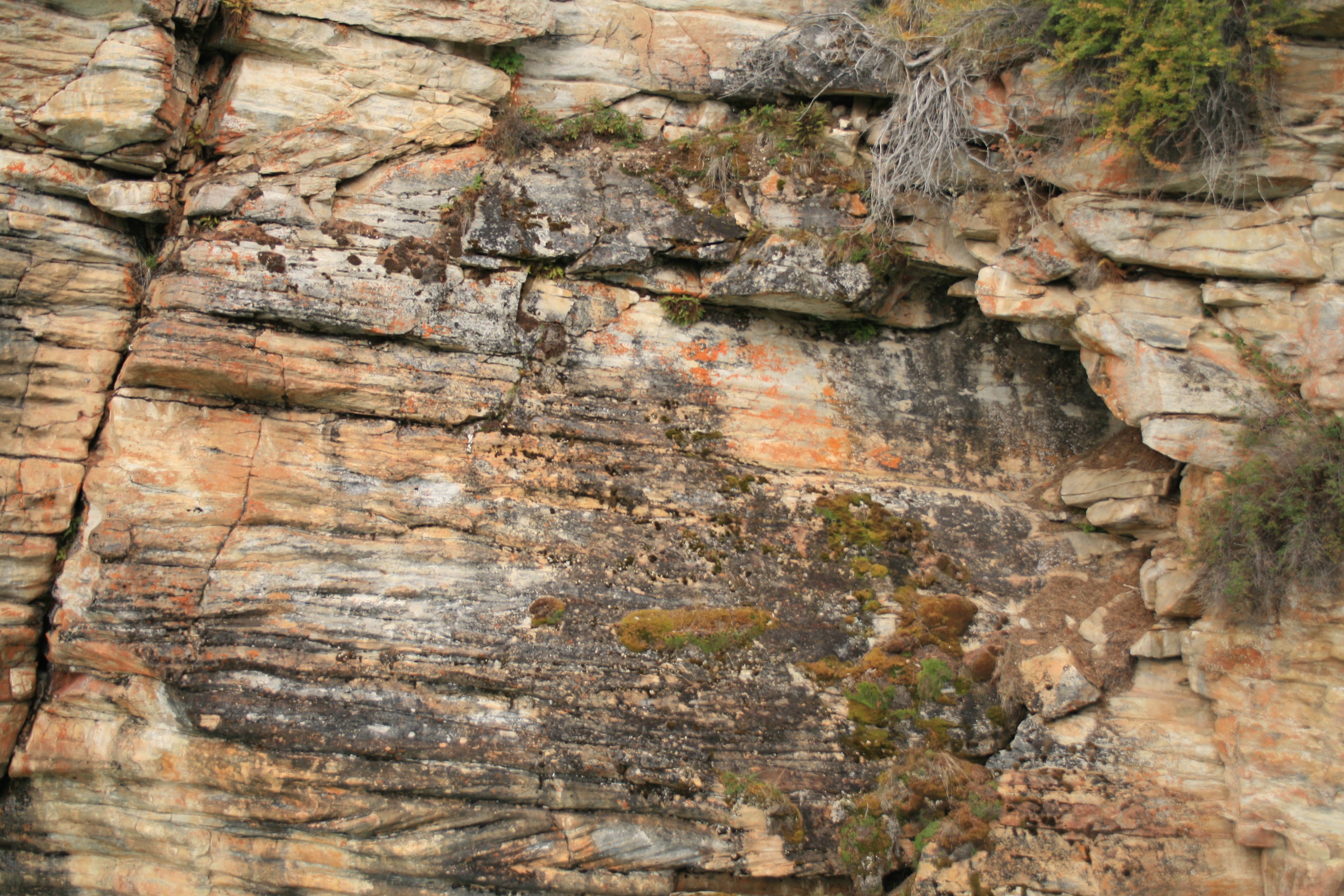 Free stock photo of layers, rock face, texture