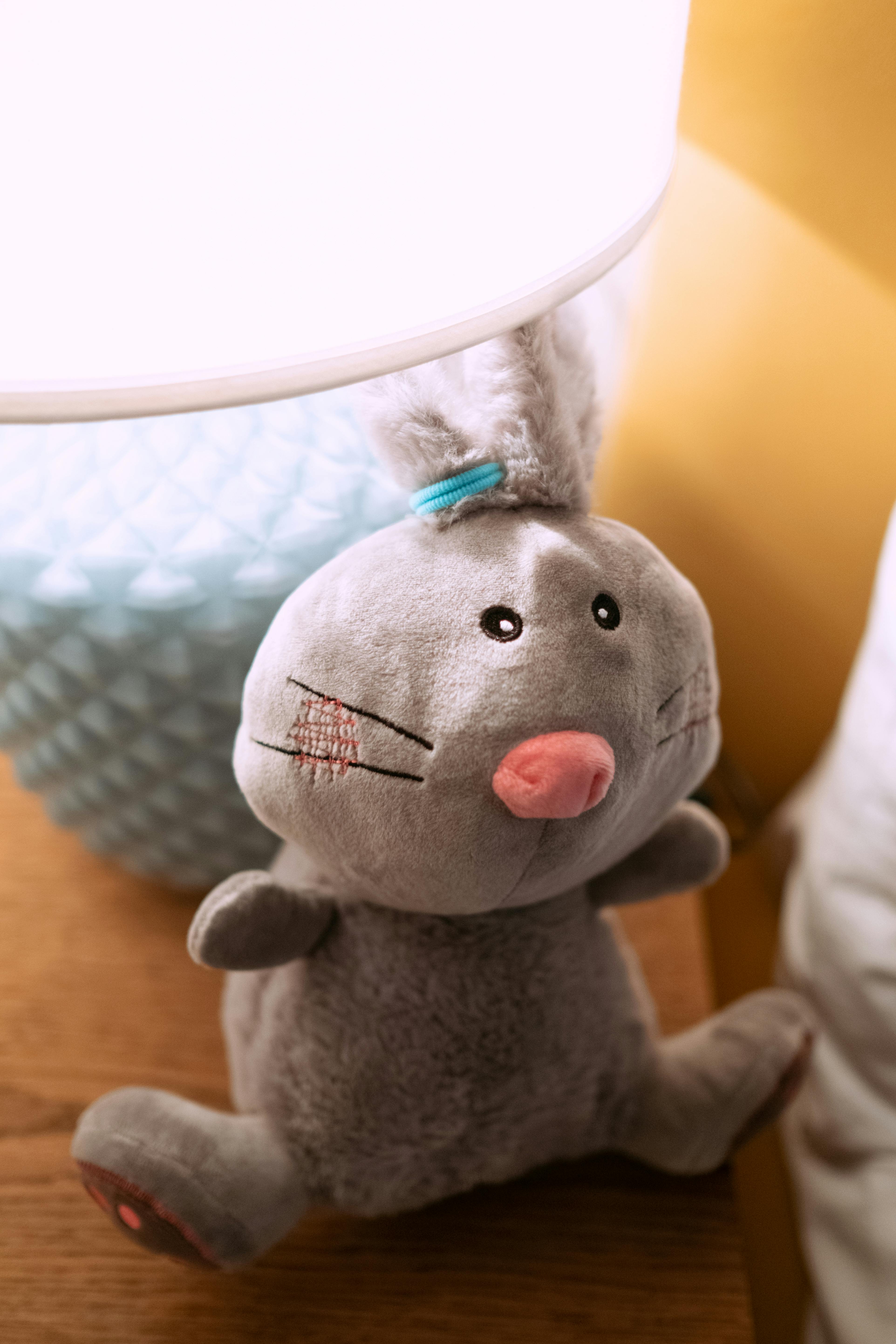 Stuffed Photos, Download The BEST Free Stuffed Stock Photos & HD Images