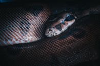 More 200 On a large scale Synonyms. Similar words for On a large scale.