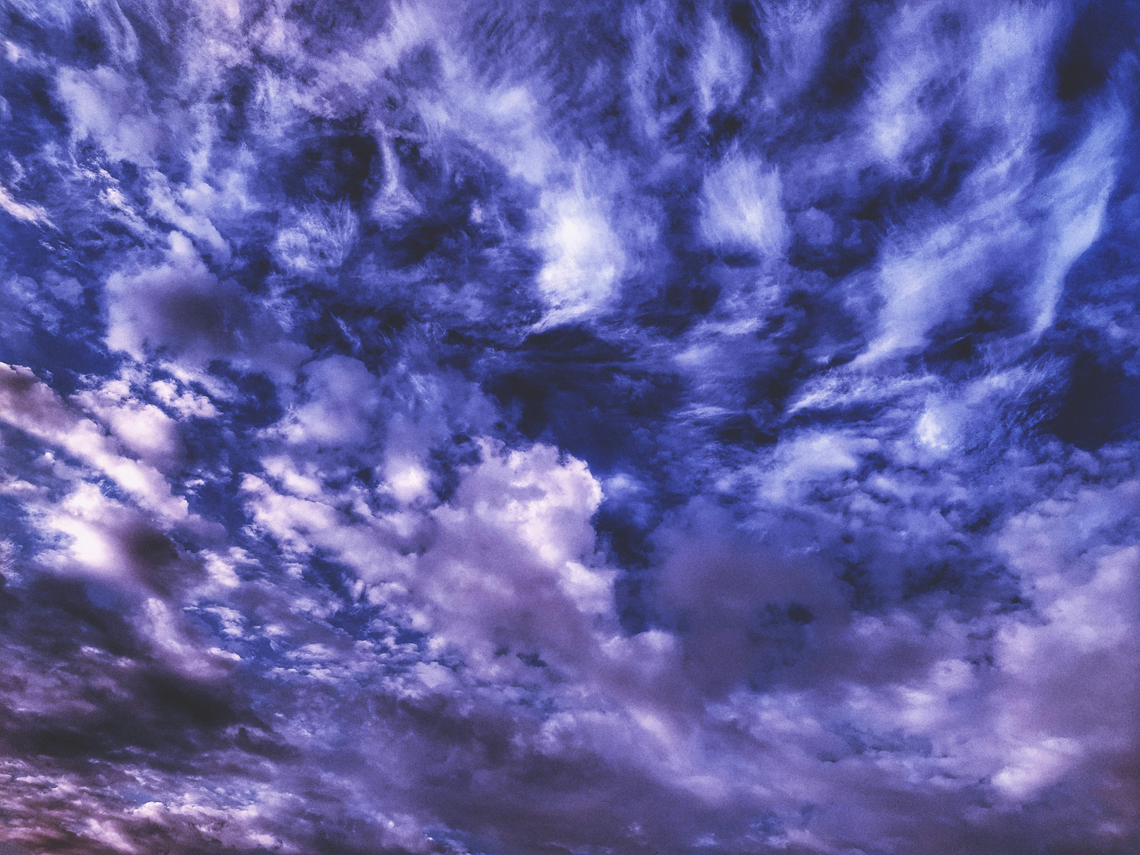 kamel shaban - 사진