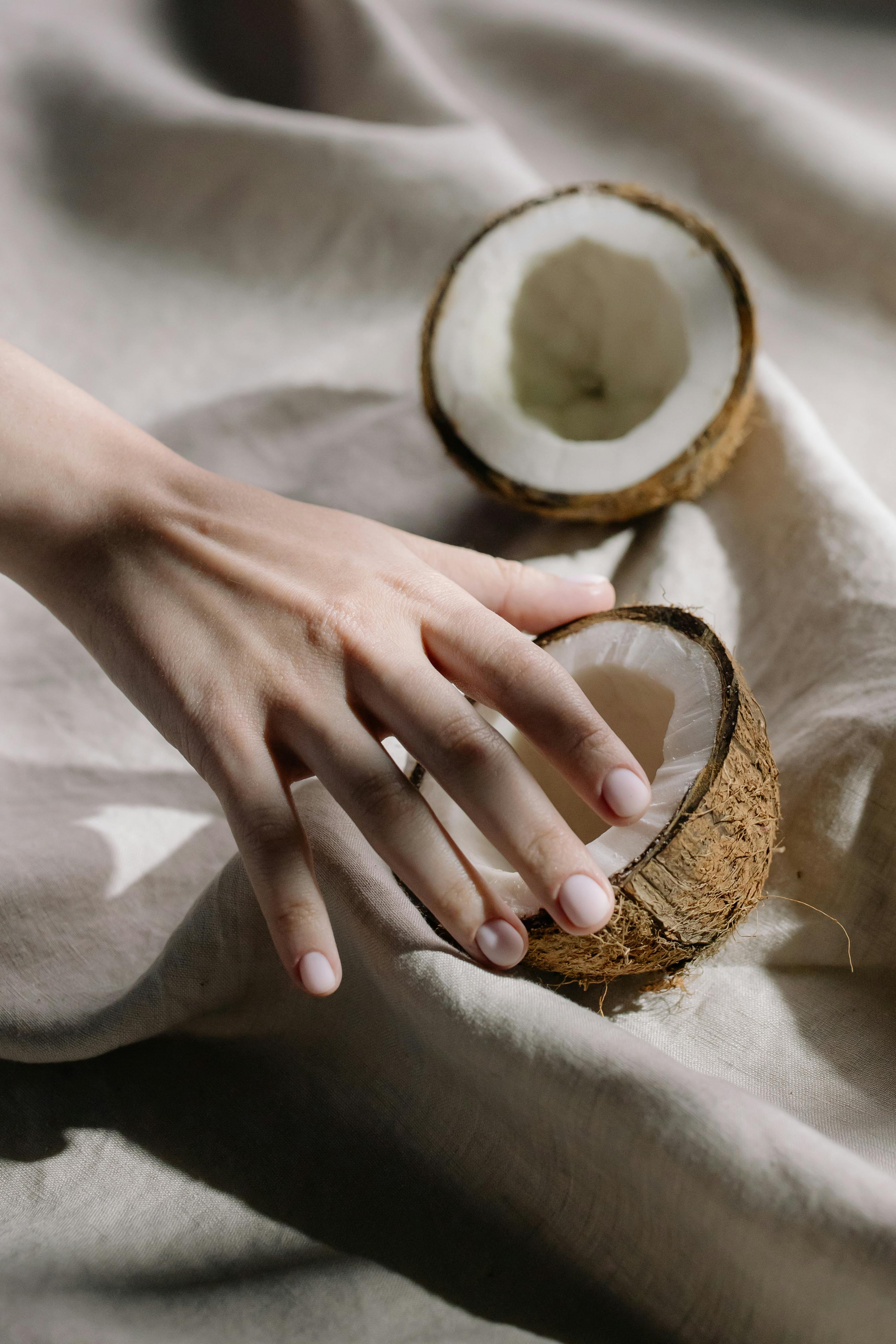 A Person Holding a Coconut Shell · Free Stock Photo