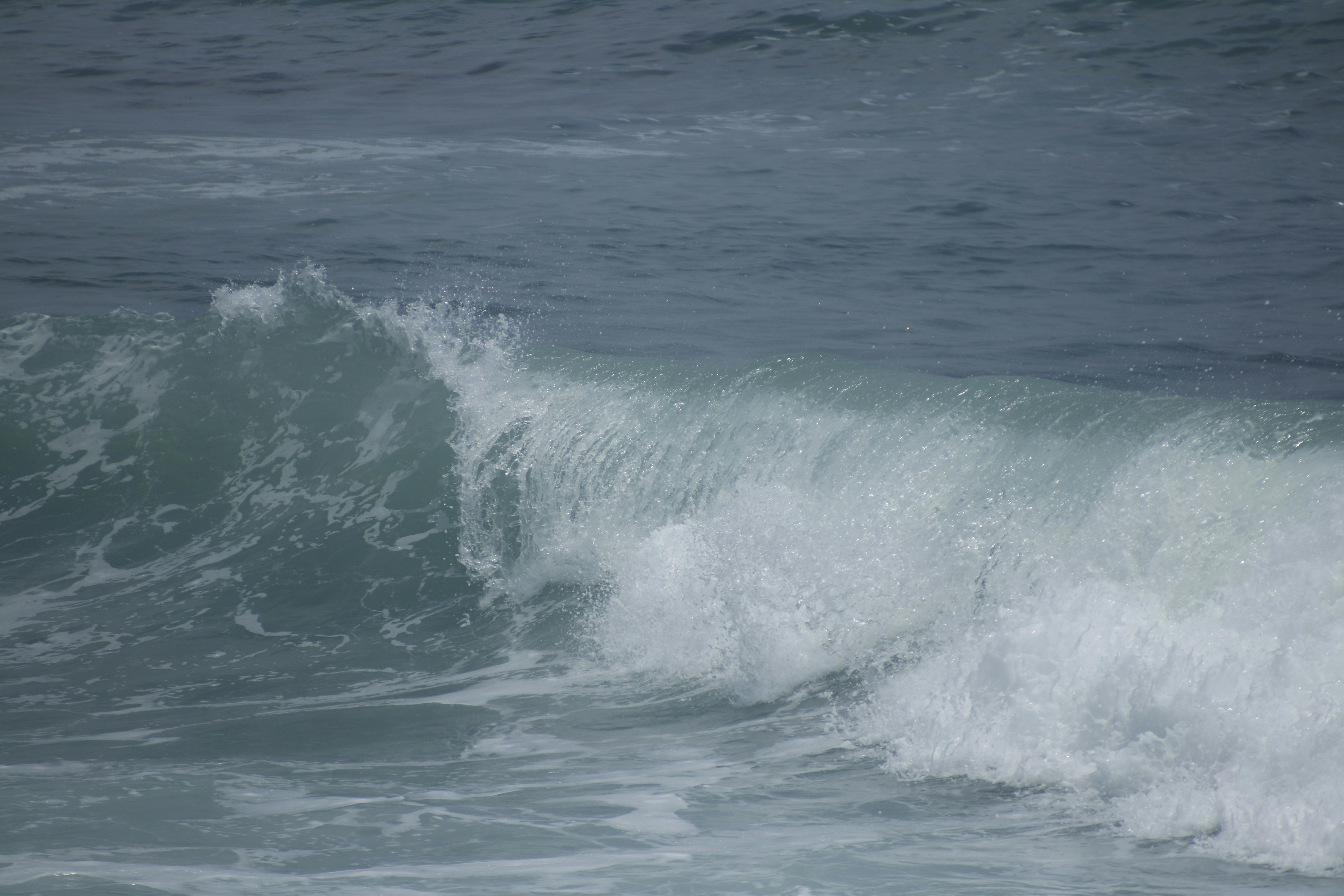 Free stock photo of ocean, wave