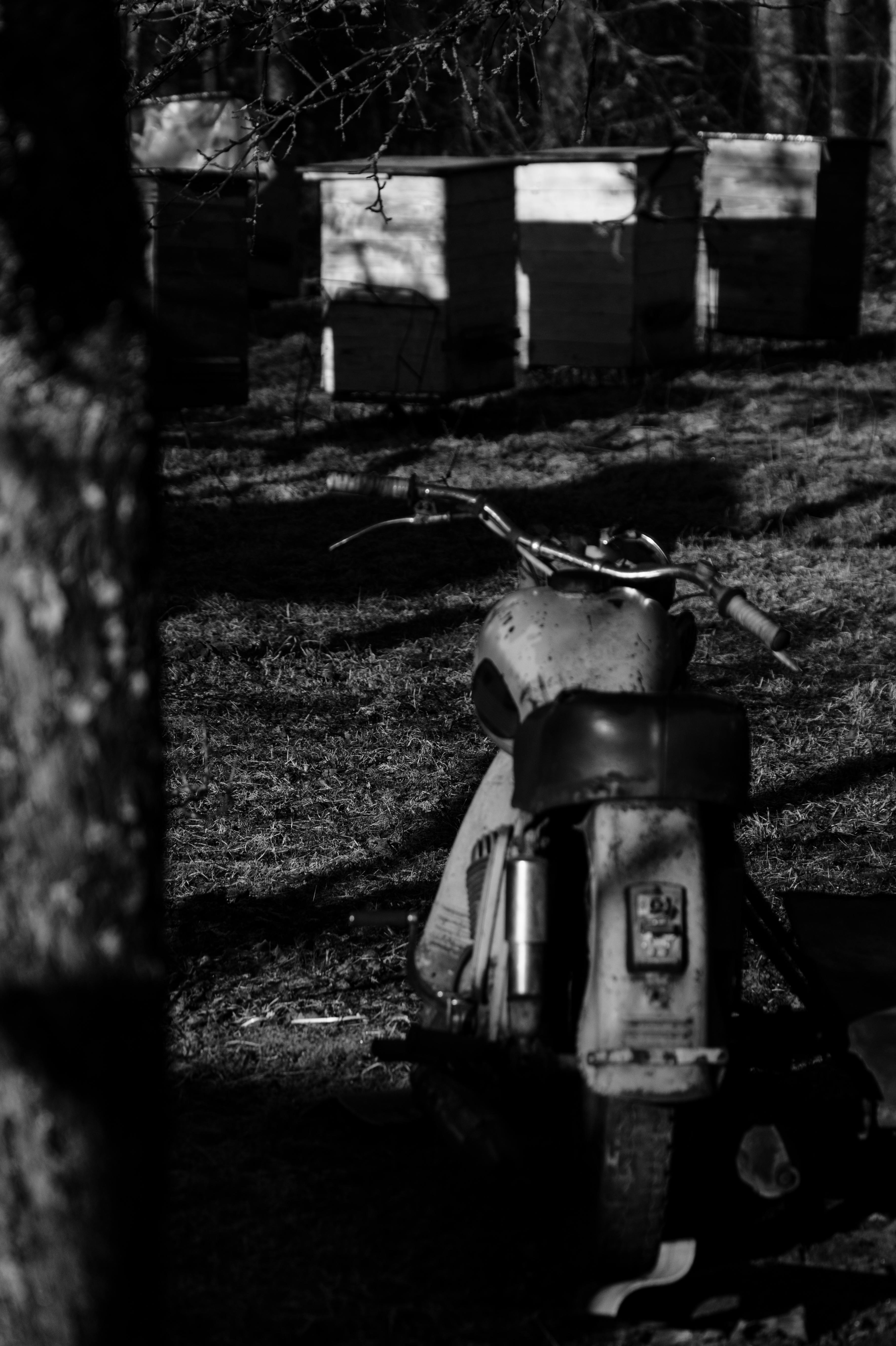 Gas Tank Empty Photos, Download The BEST Free Gas Tank Empty Stock ...