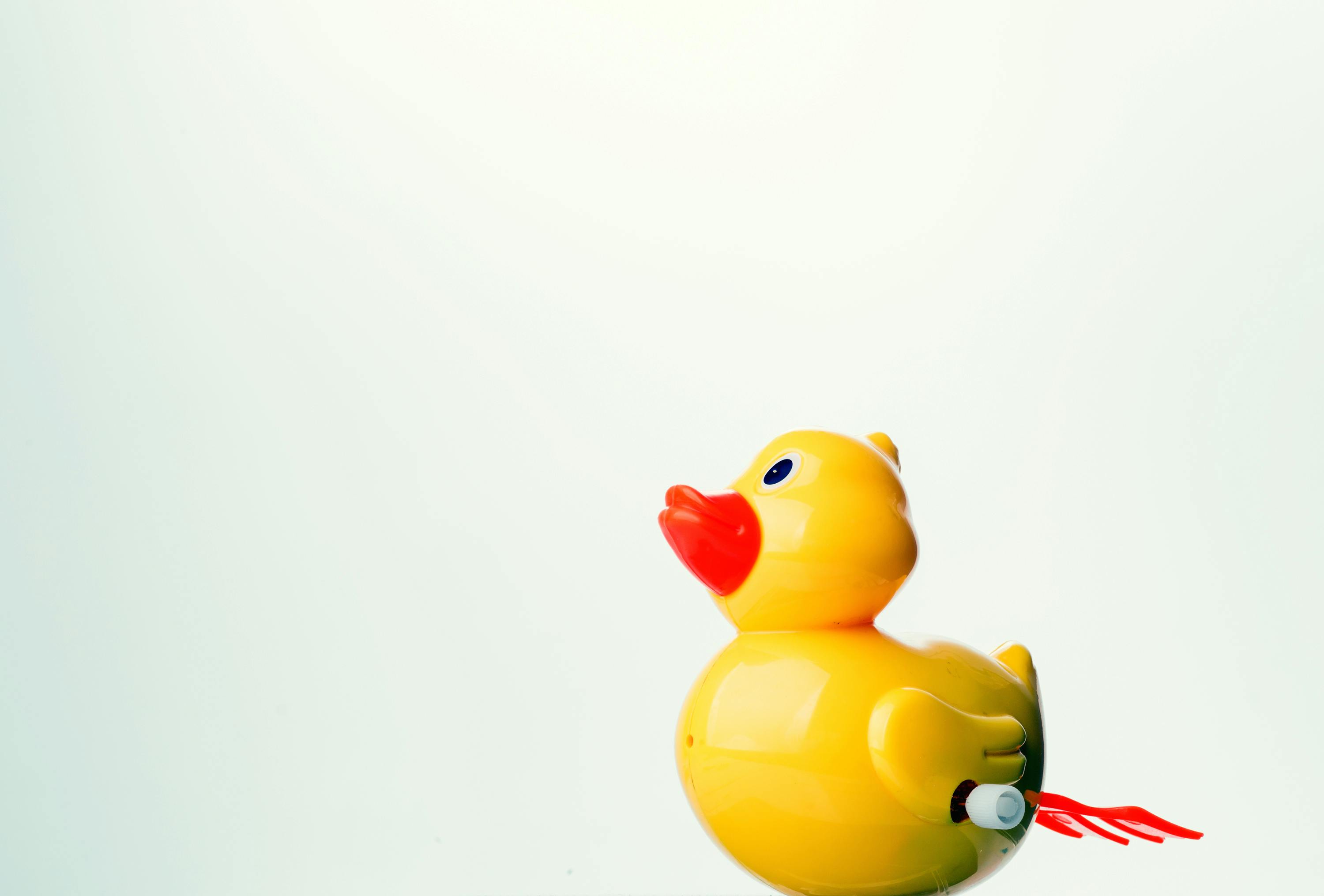 Yellow Duck Toy Beside Green Duck Toy · Free Stock Photo