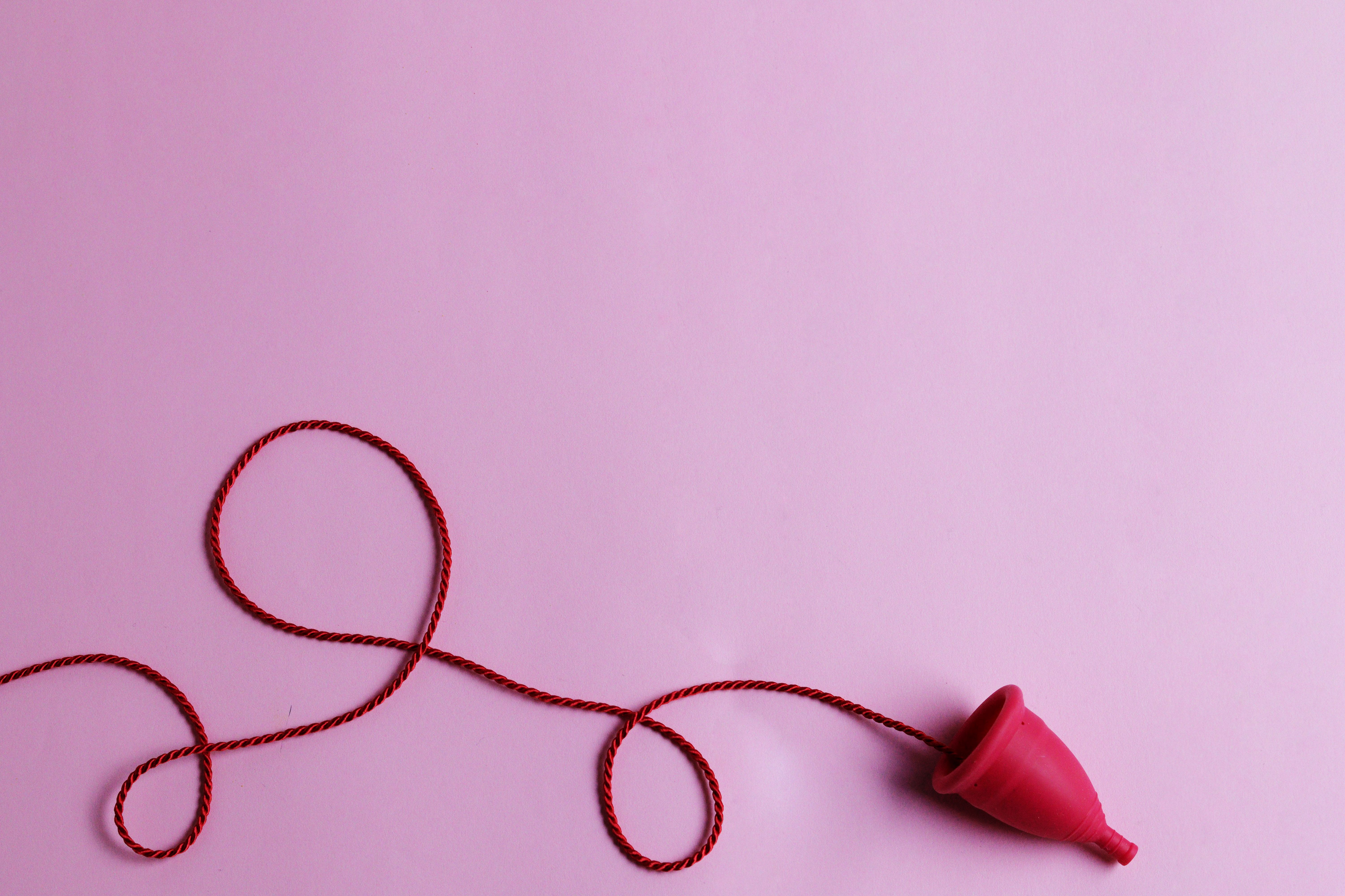 Menstrual Cycle Photos, Download The BEST Free Menstrual Cycle Stock ...