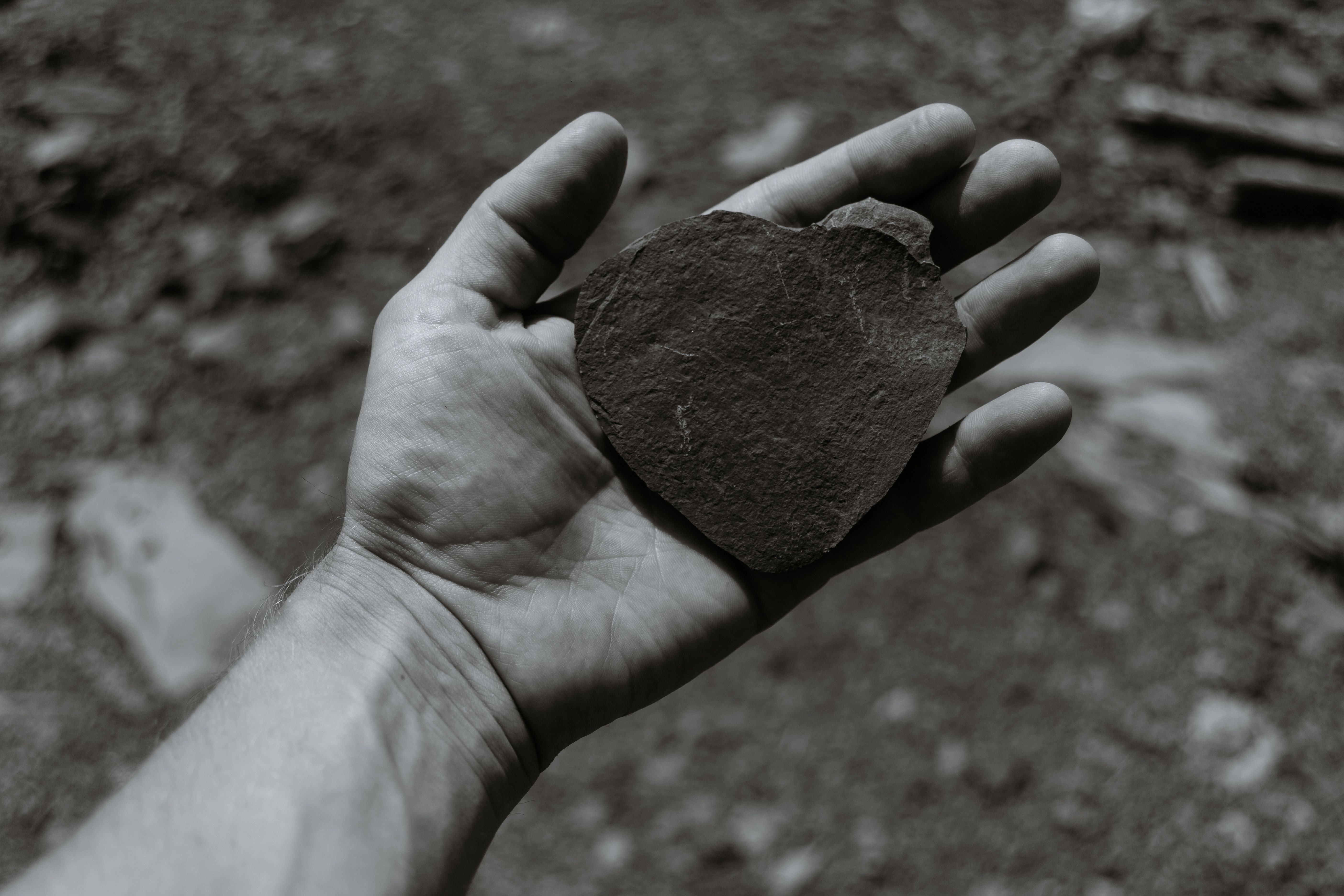 Earth Parts Photos, Download The BEST Free Earth Parts Stock Photos ...