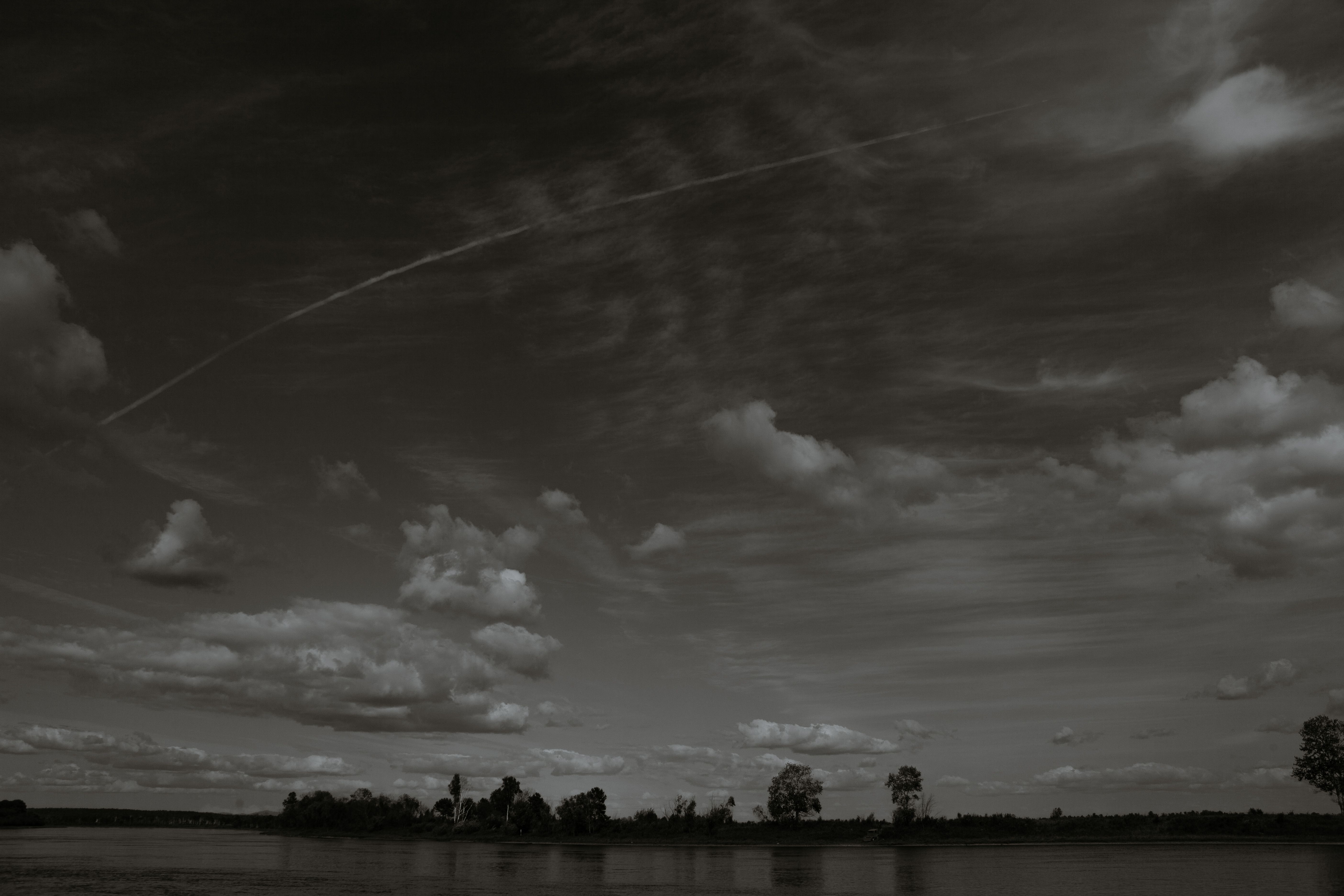 Spruce tree reflecting in lake under cloudy sky in evening · Free Stock ...