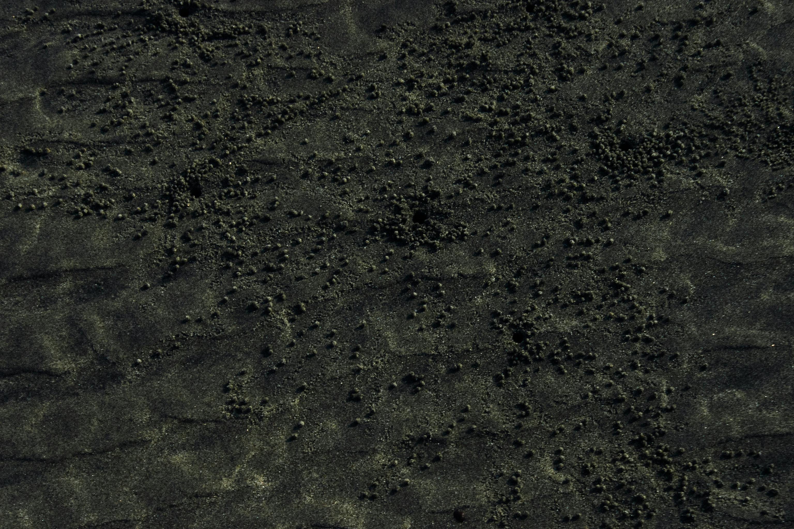 Shallow Background Photos, Download The BEST Free Shallow Background ...