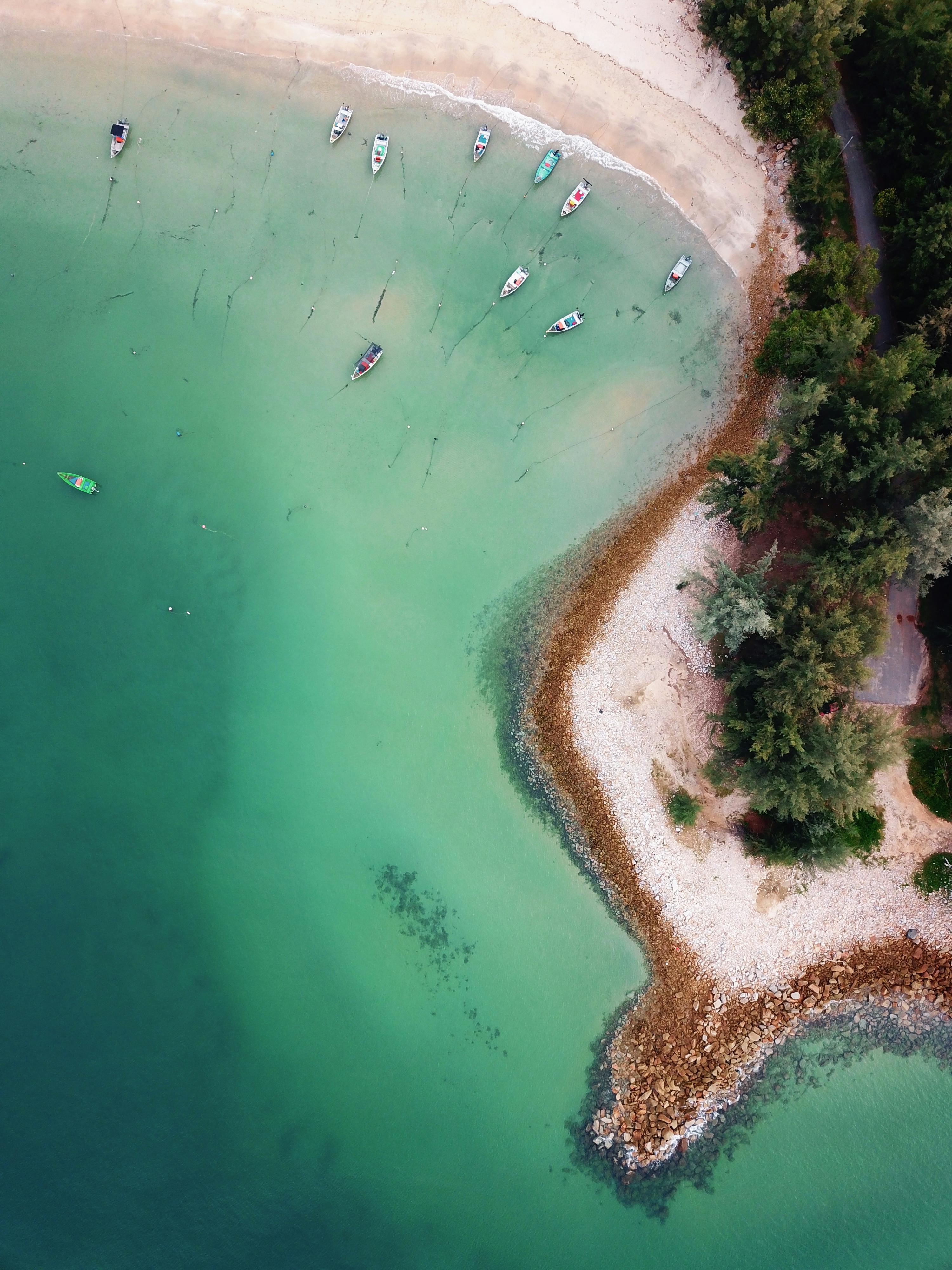 Tropical coast with trees near ocean with nautical transport · Free ...