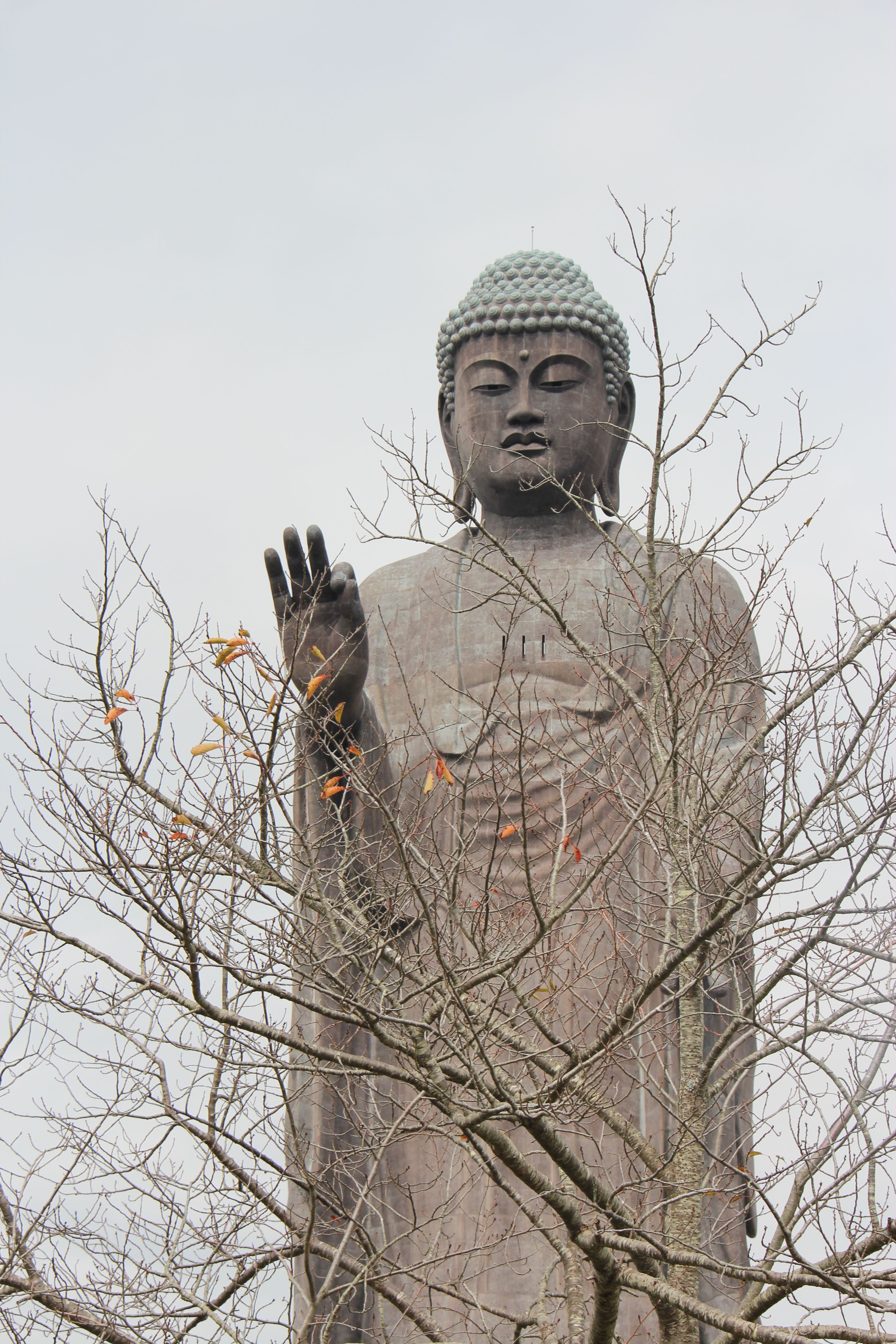 Statue of Buddha Behind Tree Branches · Free Stock Photo