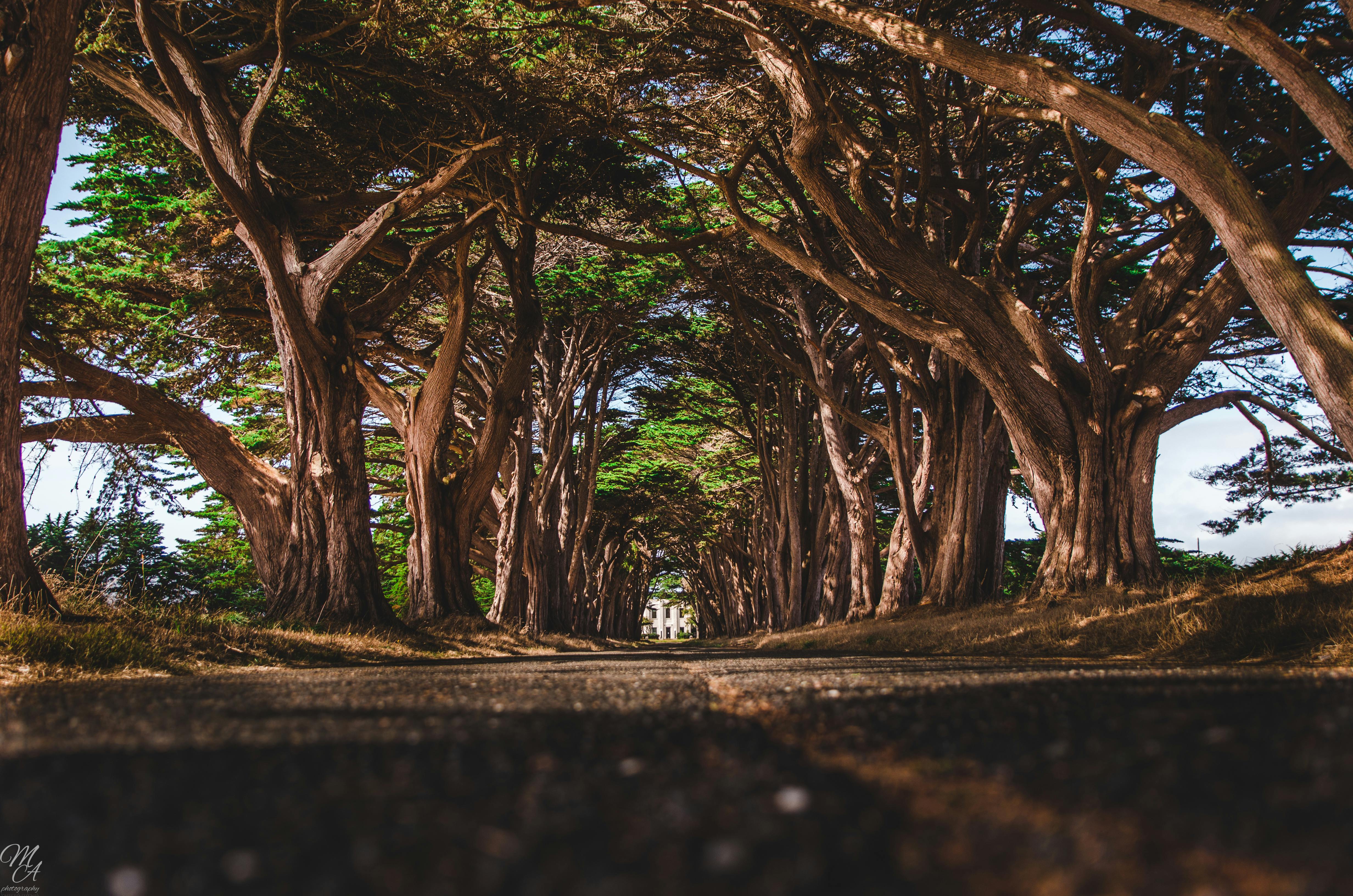 Mohamed Almari · Photography