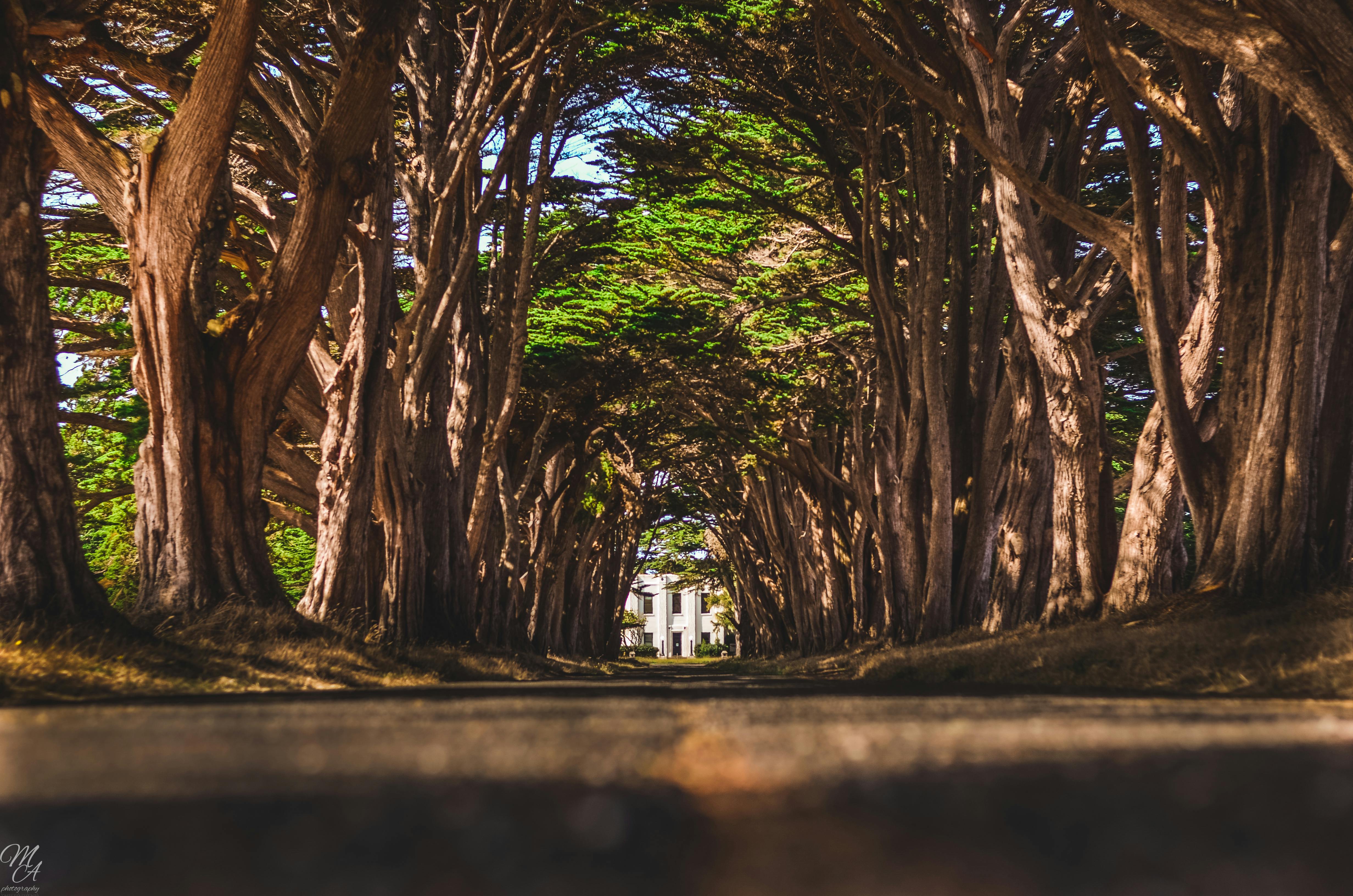 Mohamed Almari · Photography