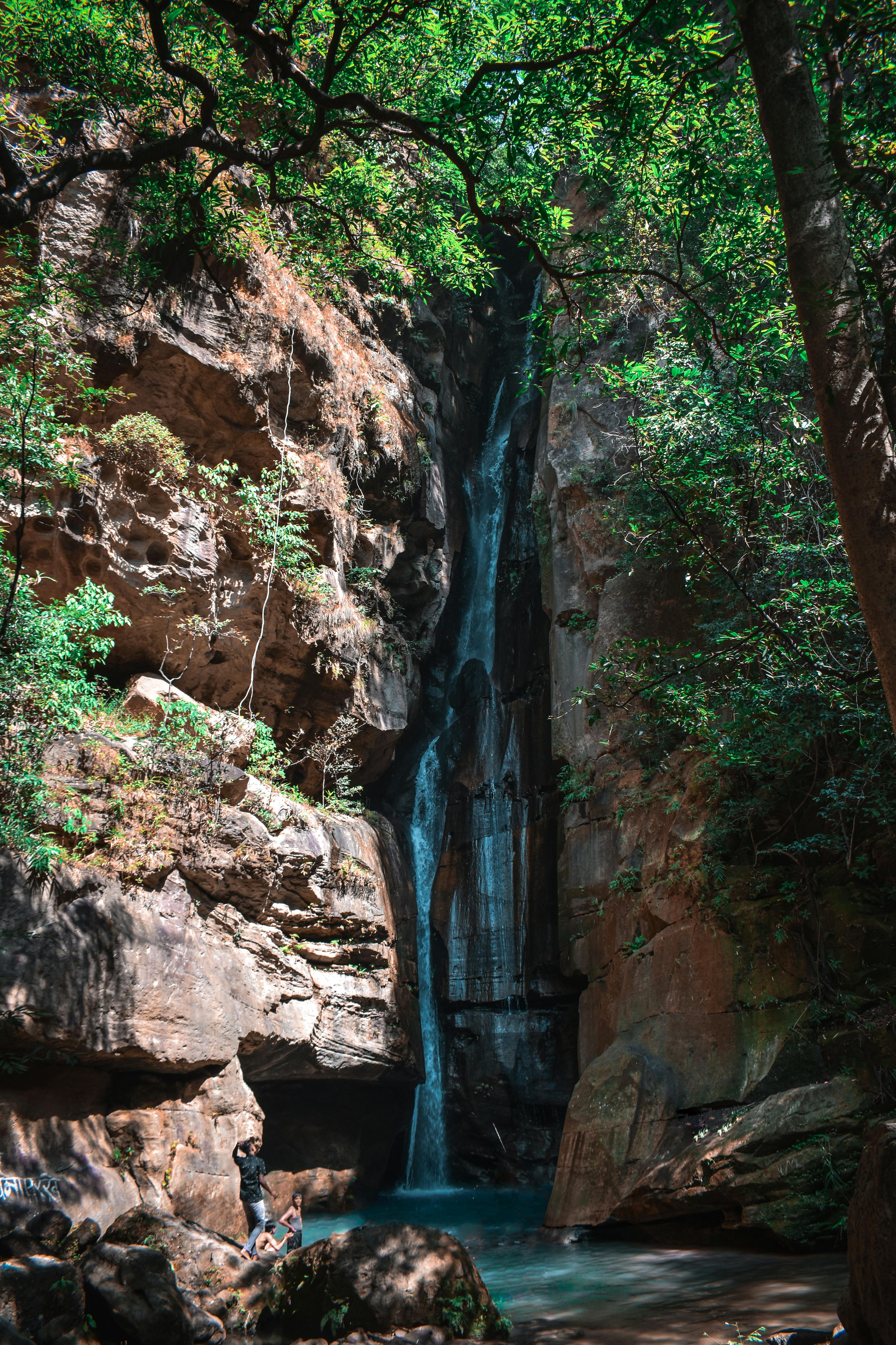 Waterfall Forest Water Stream · Free Stock Photo