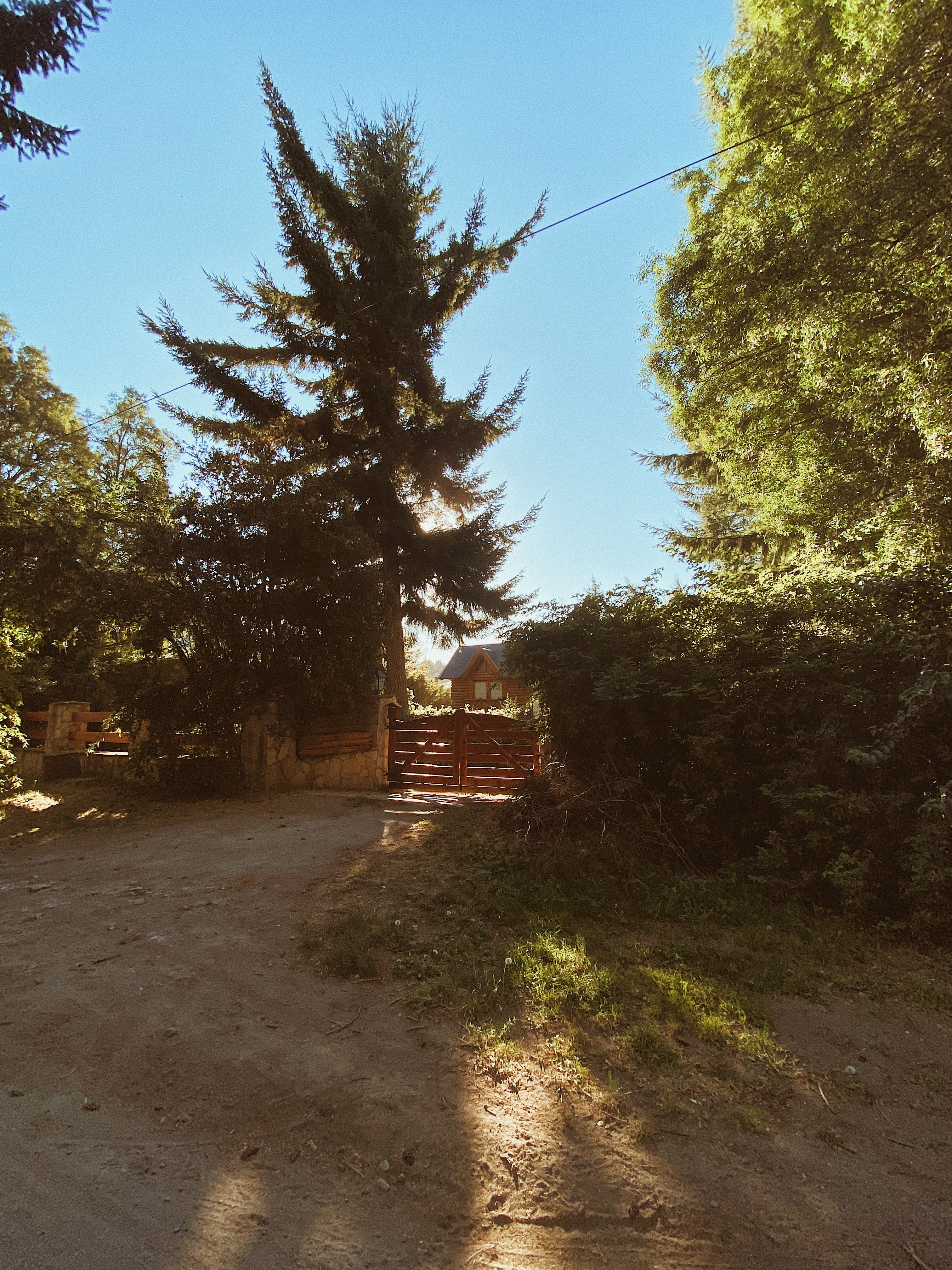 Spruce Gate Photos, Download The BEST Free Spruce Gate Stock Photos ...