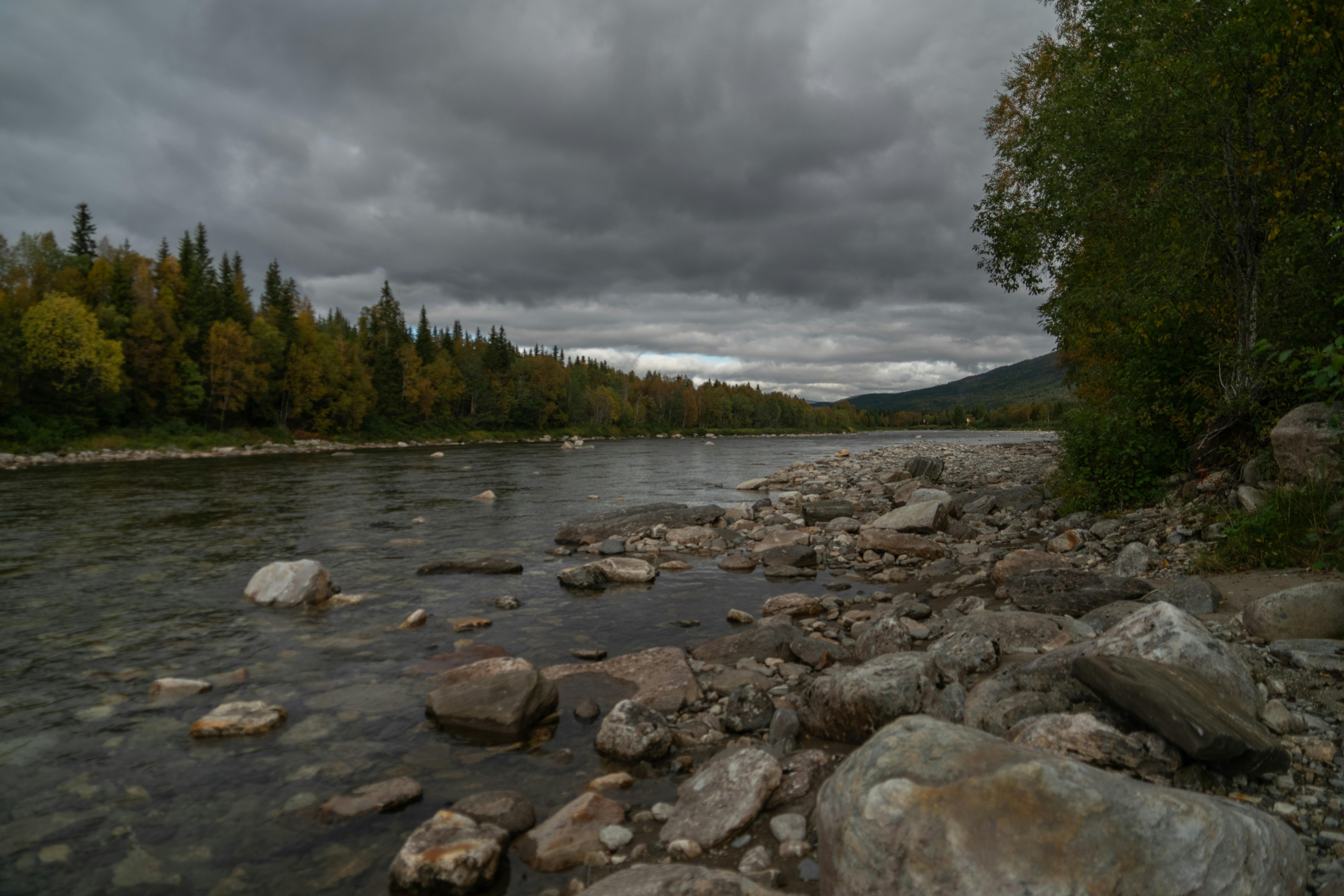 Rocky formations on river shore between trees · Free Stock Photo