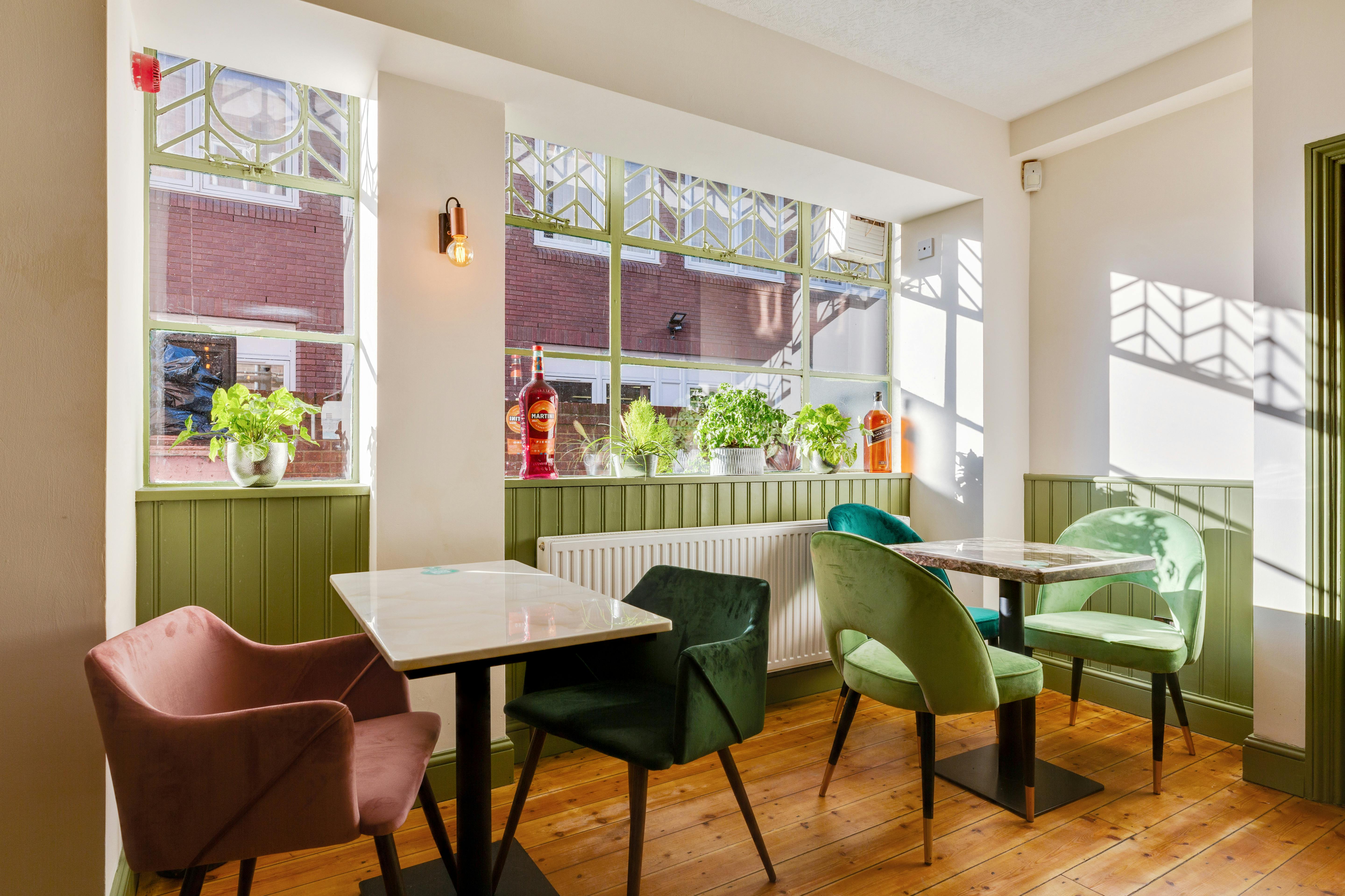Potted Plants on Window Sill · Free Stock Photo