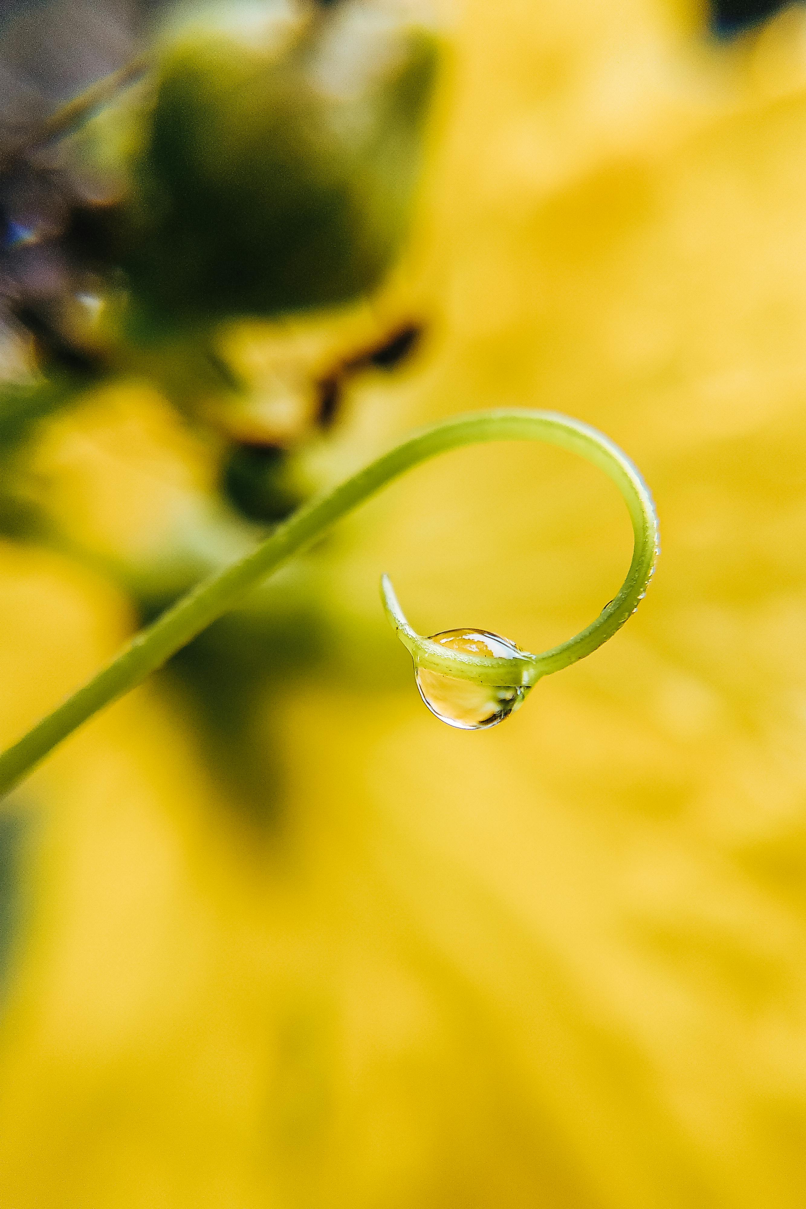Inverted wineglass near spilled water · Free Stock Photo