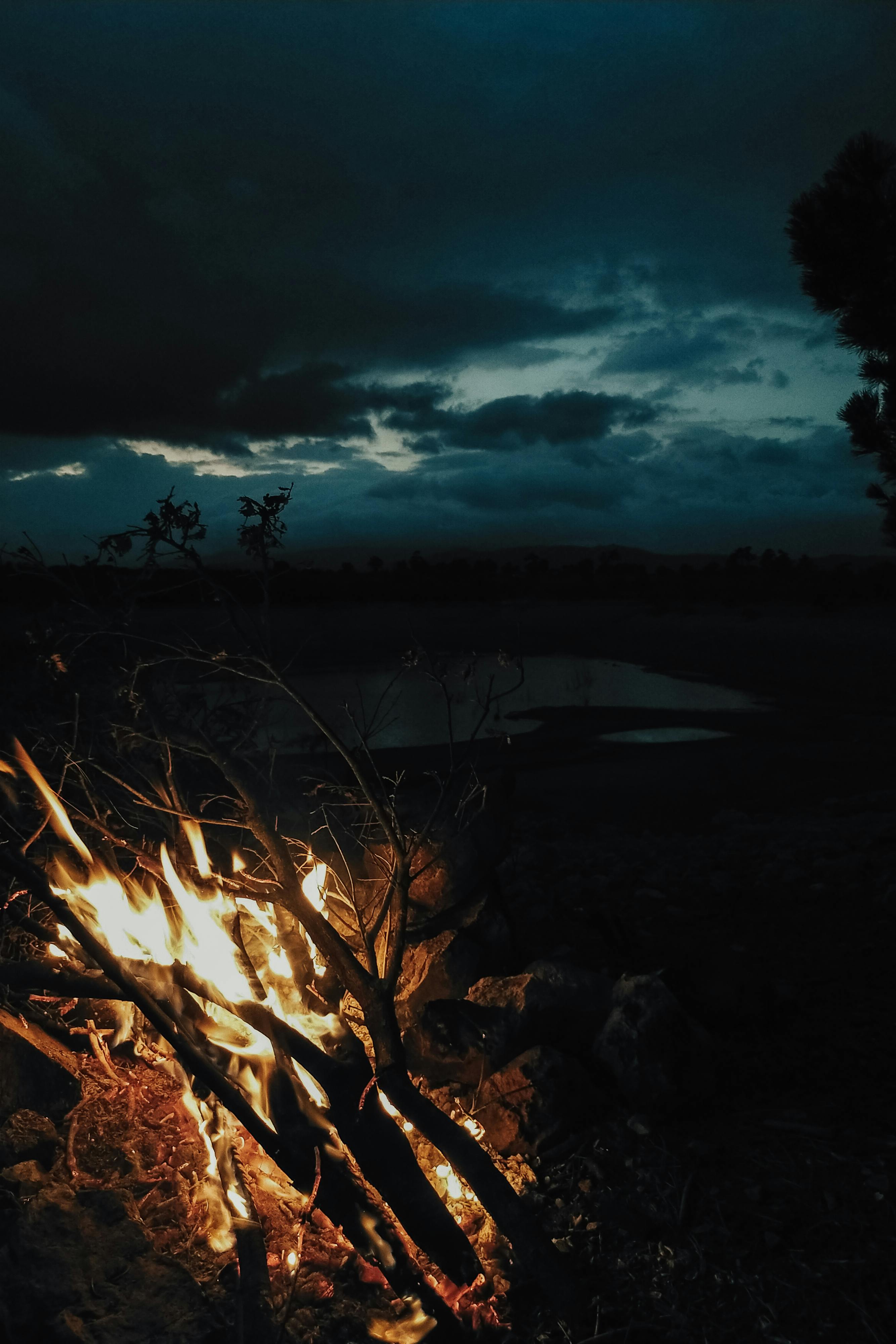 Man Lighting Campfire · Free Stock Photo