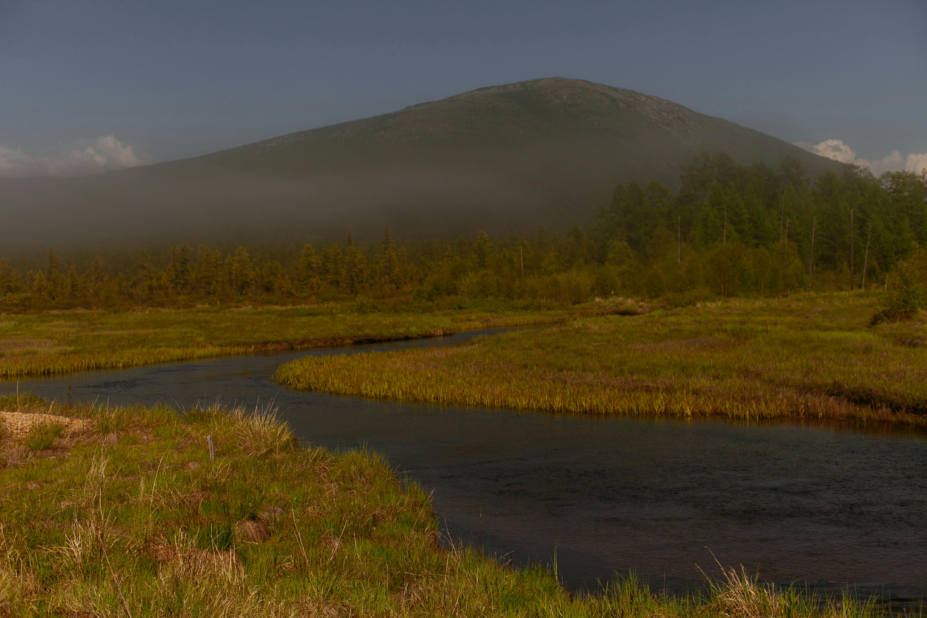 20+ Best Bog Photos · 100% Free Download · Pexels Stock Photos