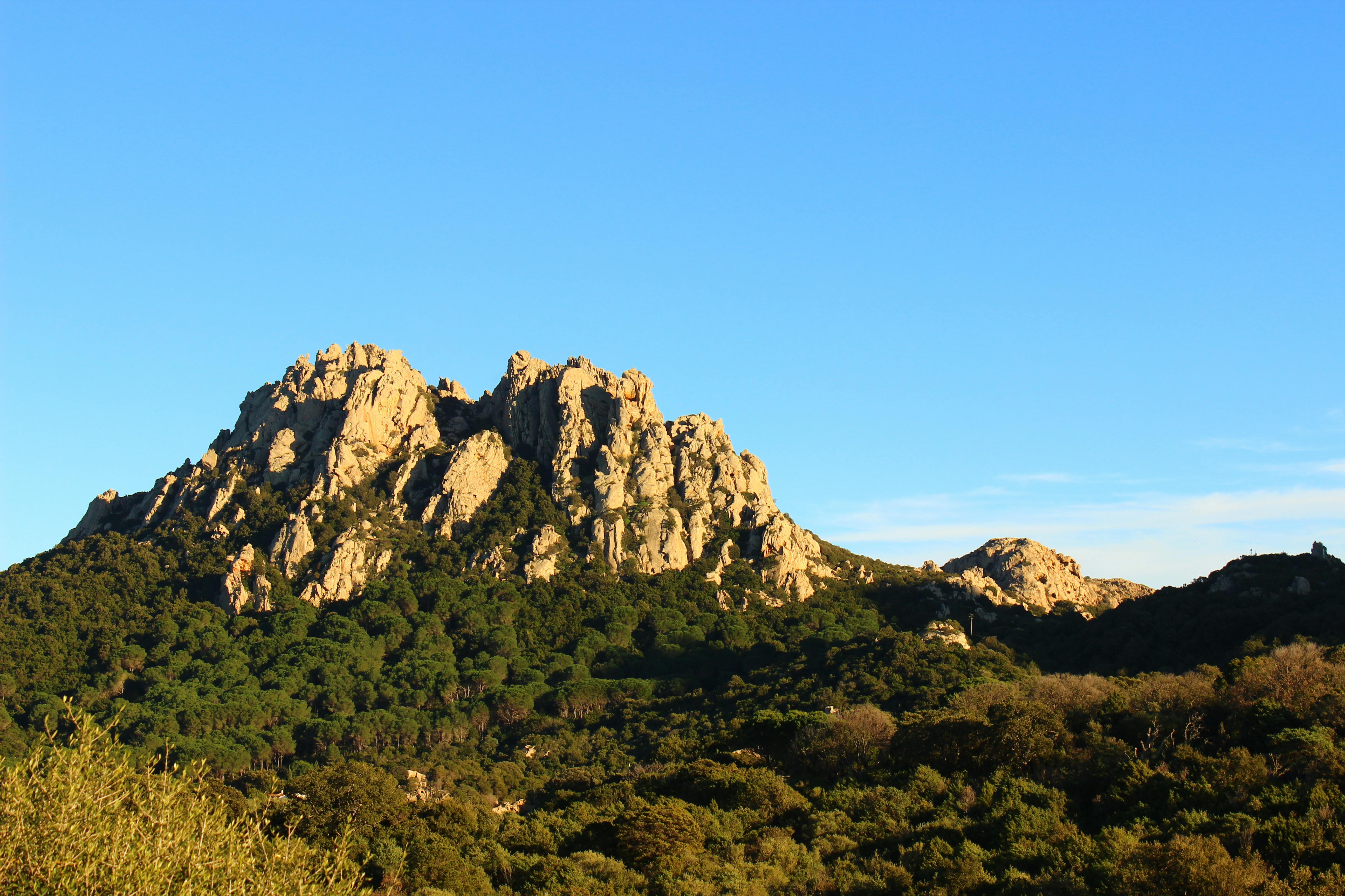 Valentin Adrian Bucur - 攝影