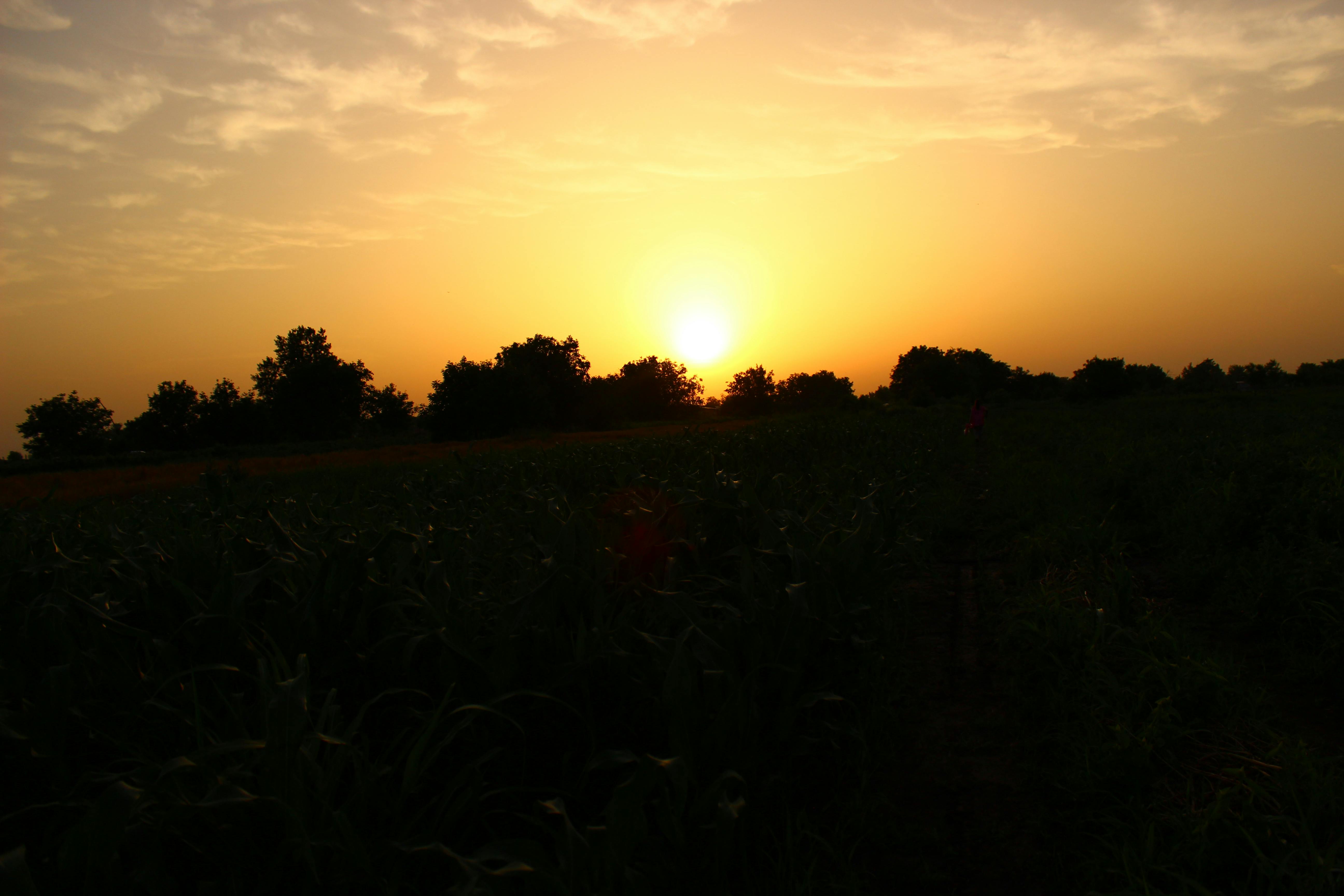 Valentin Adrian Bucur - 攝影