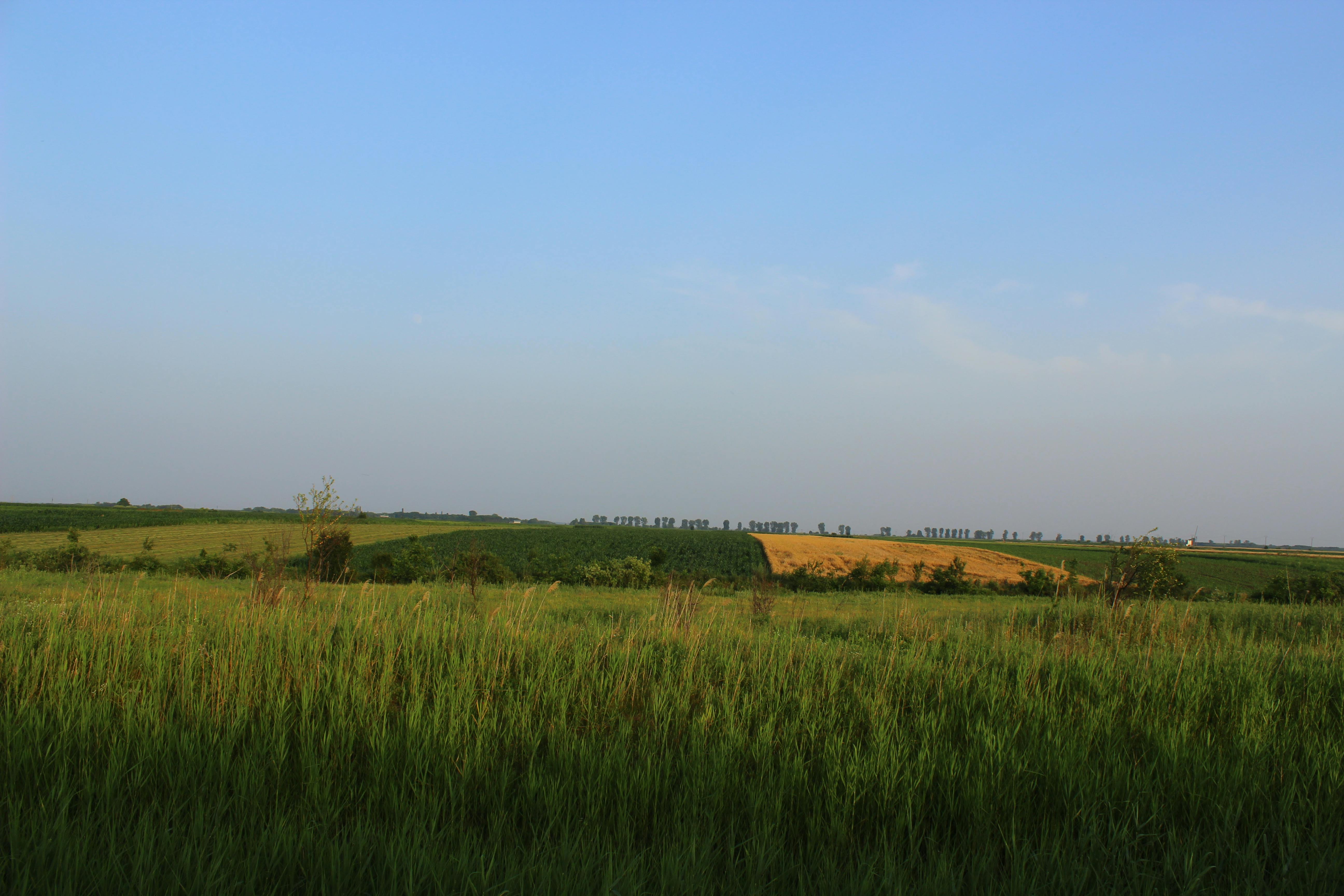 Valentin Adrian Bucur - 攝影