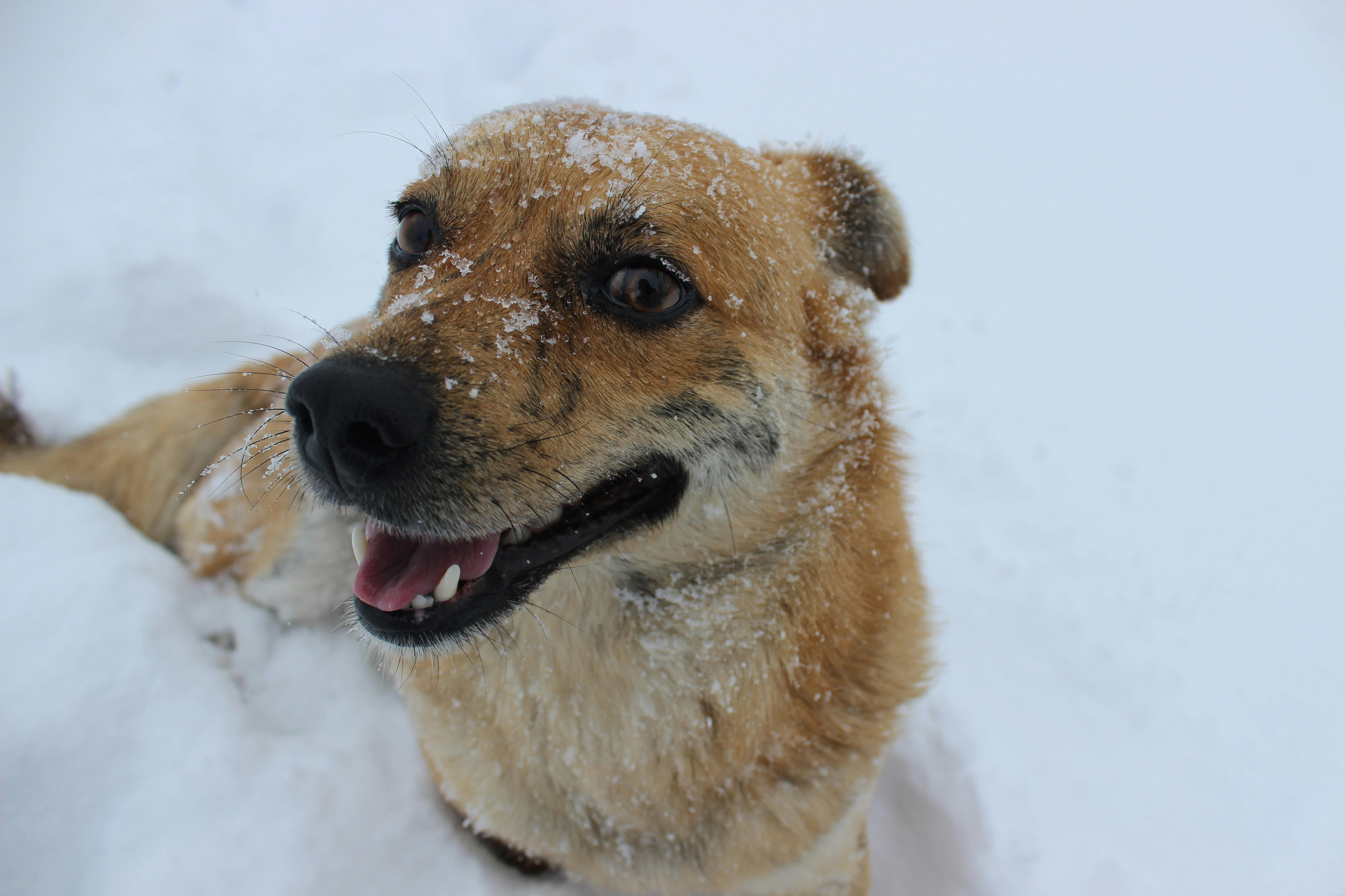 Valentin Adrian Bucur - 攝影